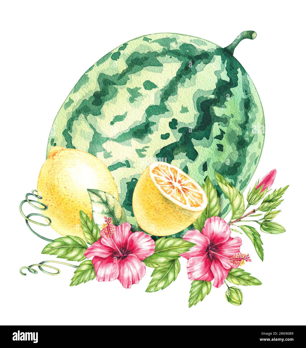 Tropical fruits watercolor composition on white. Watermelon, banana ...