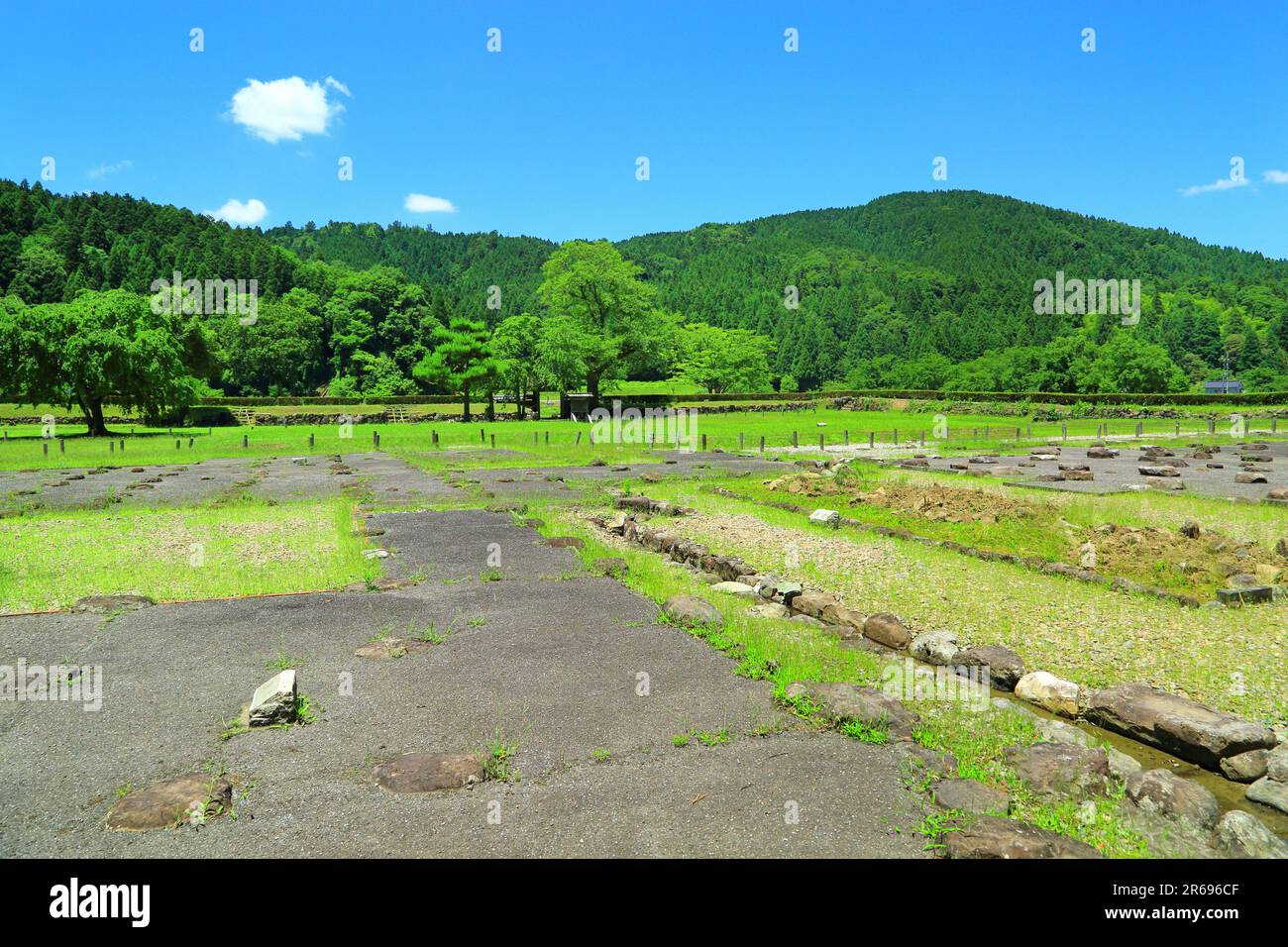 Ichijodani Asakura Clans Ruins in fresh green Stock Photo - Alamy