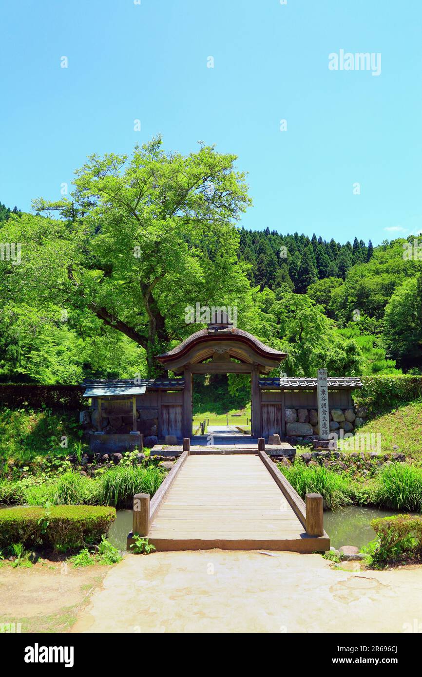 Ichijodani Asakura Clans Ruins in fresh green Stock Photo - Alamy