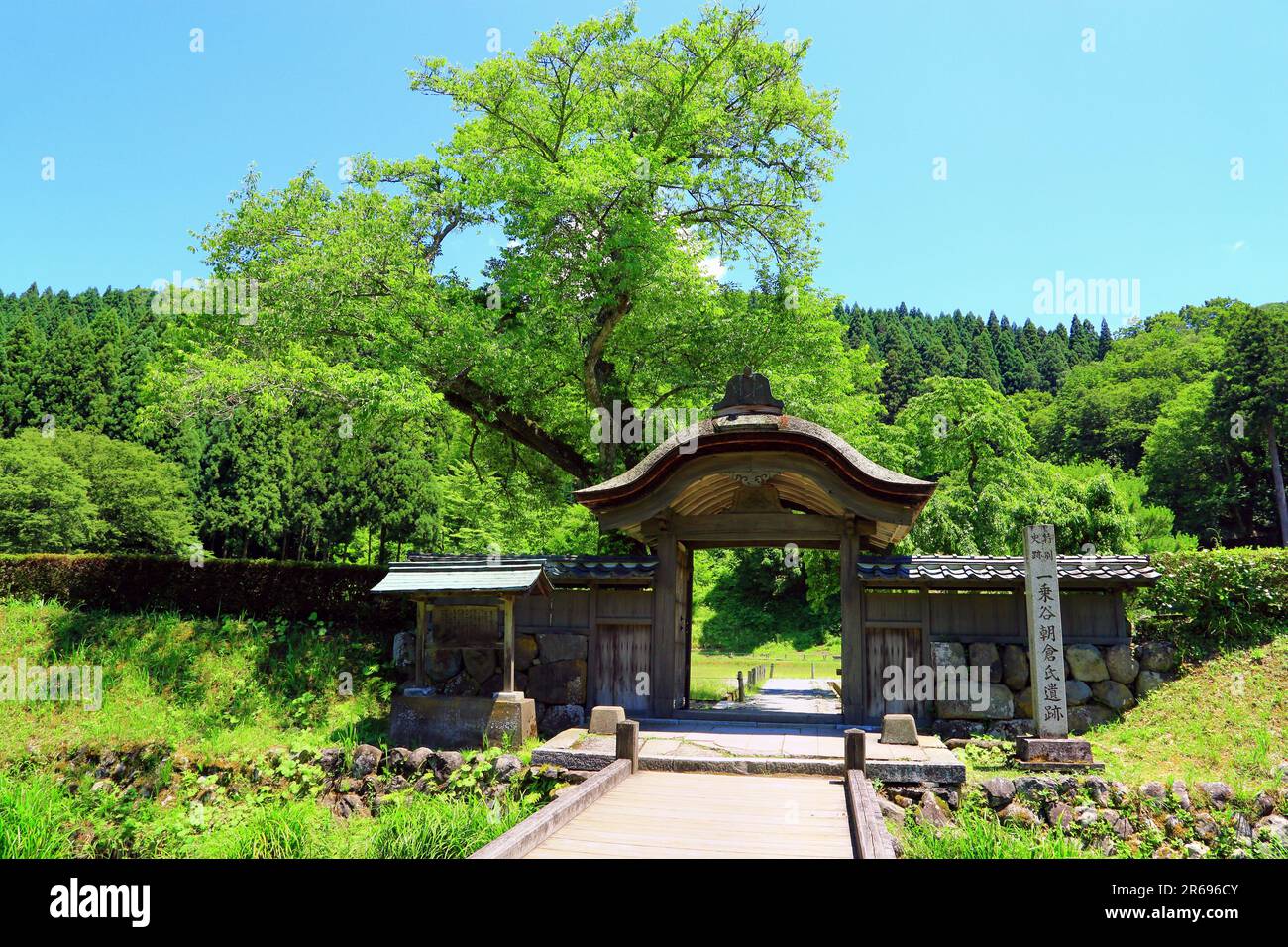 Ichijodani Asakura Clans Ruins in fresh green Stock Photo - Alamy