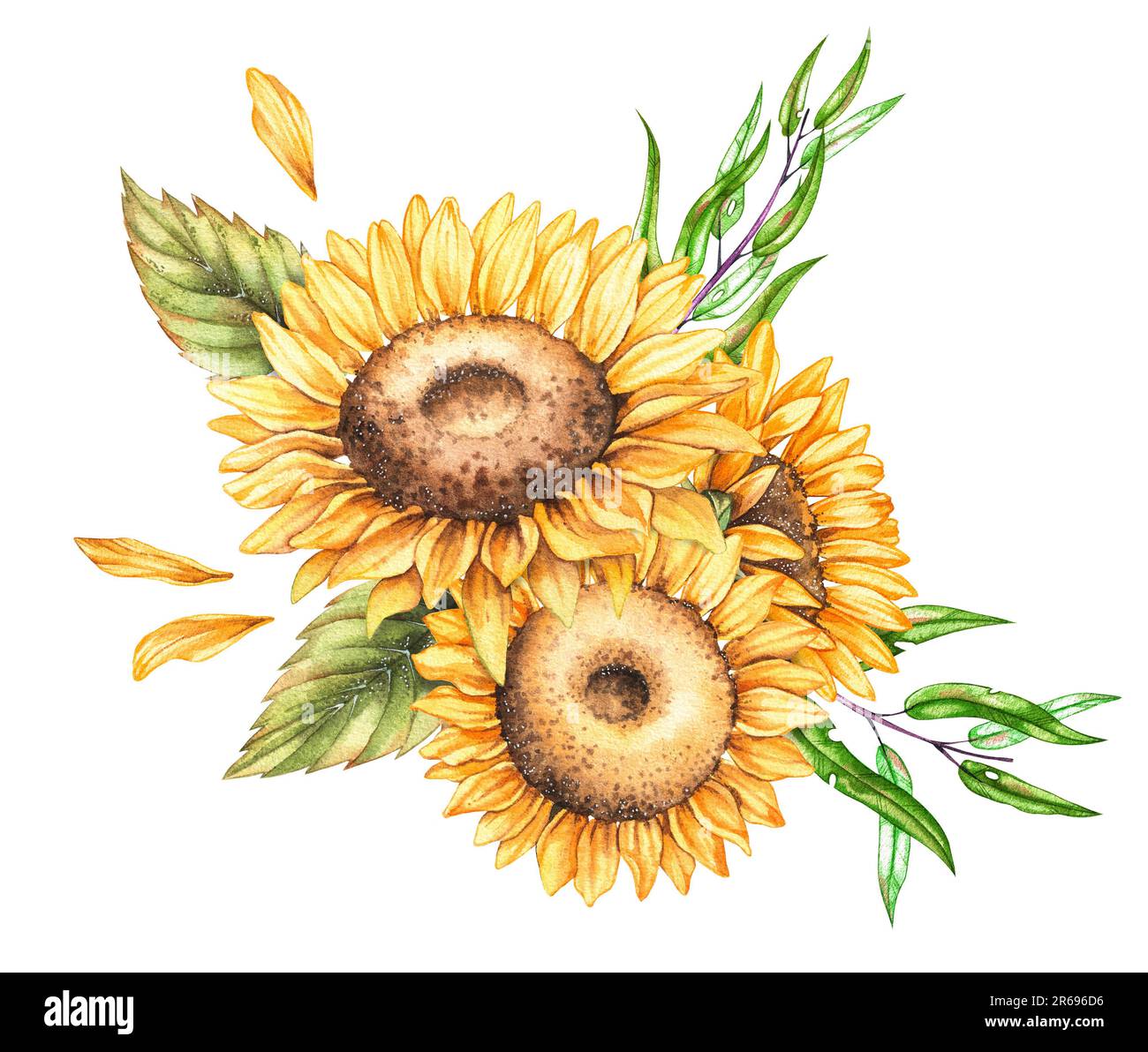 Watercolor Sunflower Image