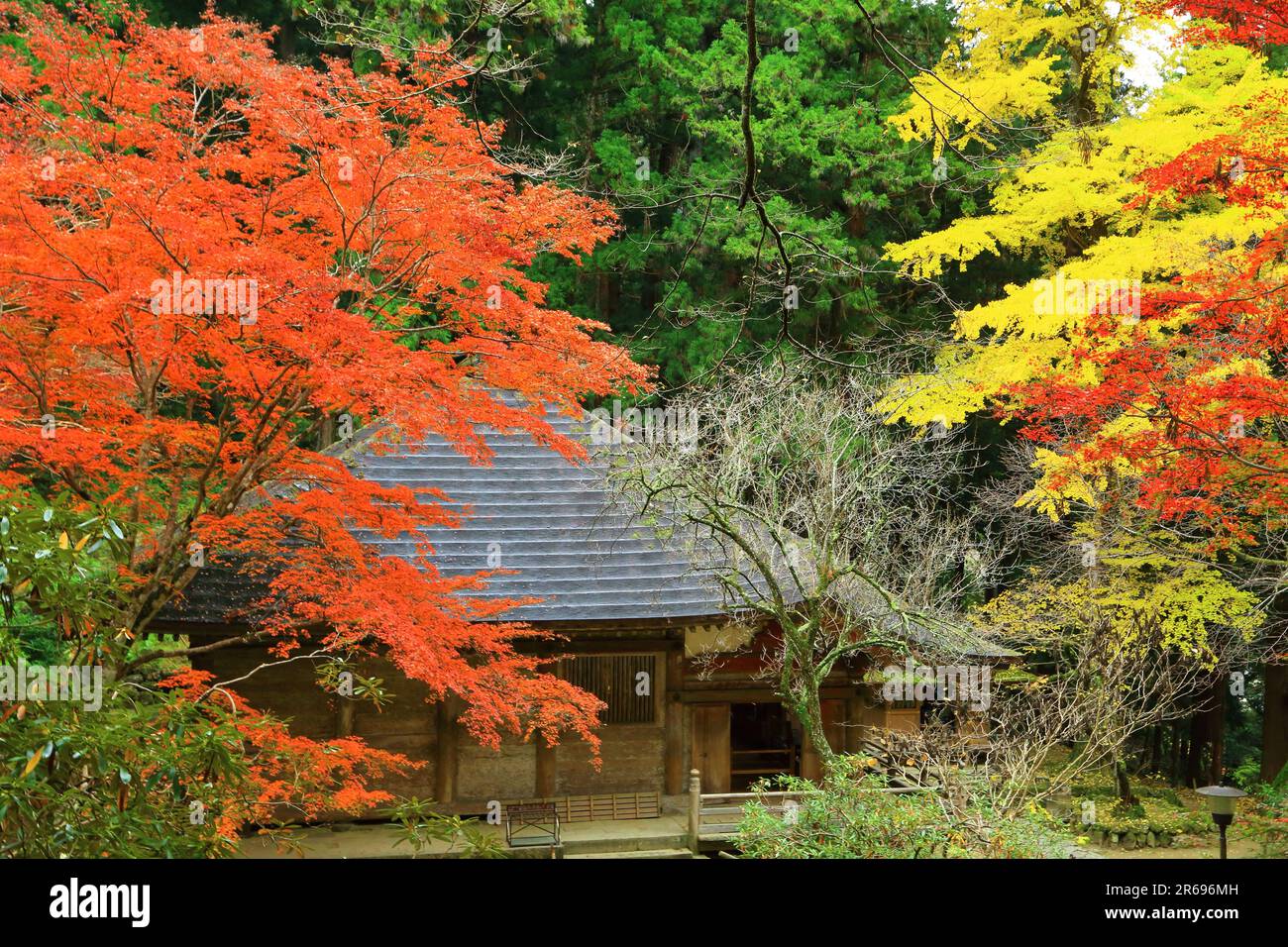 Muroji Temple with autumn leaves Stock Photo - Alamy