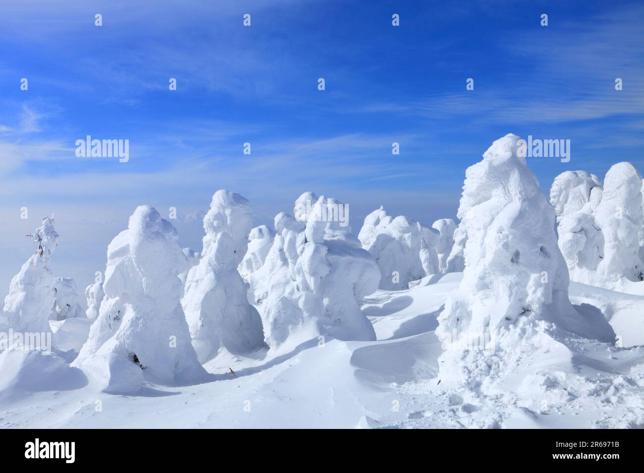 Frost covered trees in Zao Stock Photo - Alamy