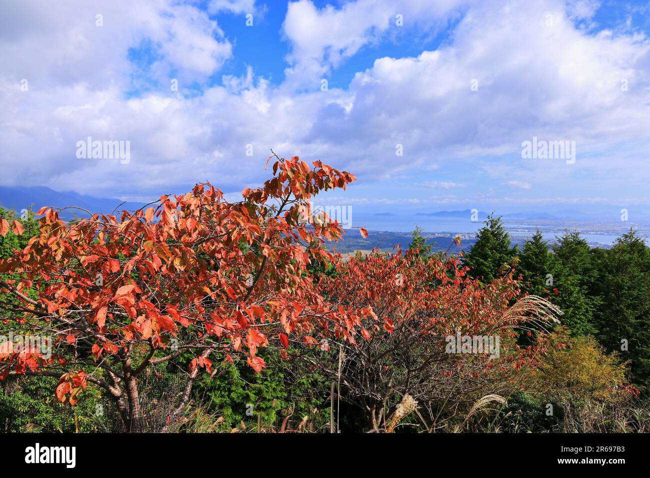 Lake Biwa and Autumn Leaves Stock Photo - Alamy