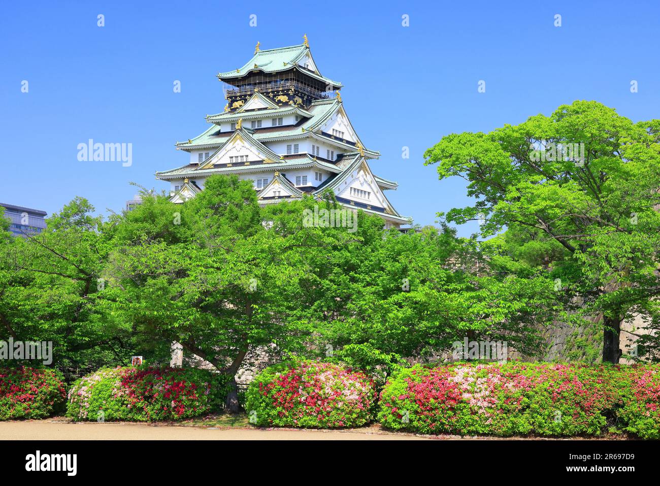 Osaka Castle tower and azalea in fresh green Stock Photo - Alamy