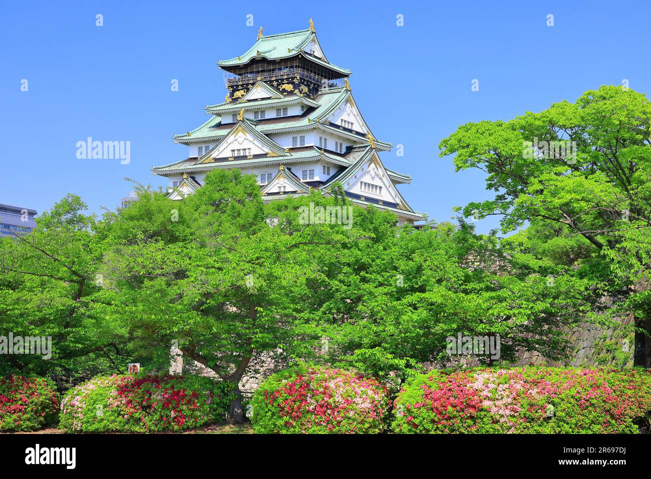 Osaka Castle tower and azalea in fresh green Stock Photo - Alamy