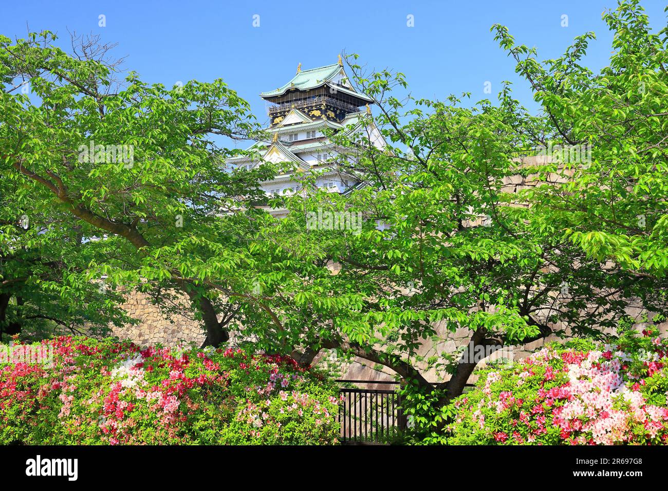 Osaka Castle tower and azalea in fresh green Stock Photo - Alamy