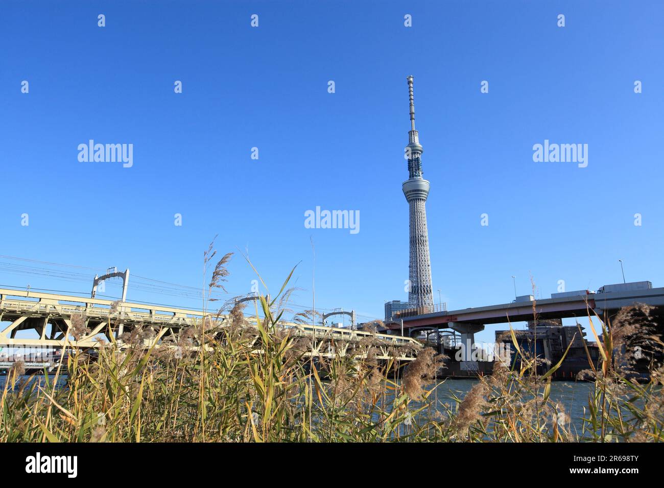 Tobu Isezaki Line and Tokyo Sky Tree Stock Photo - Alamy