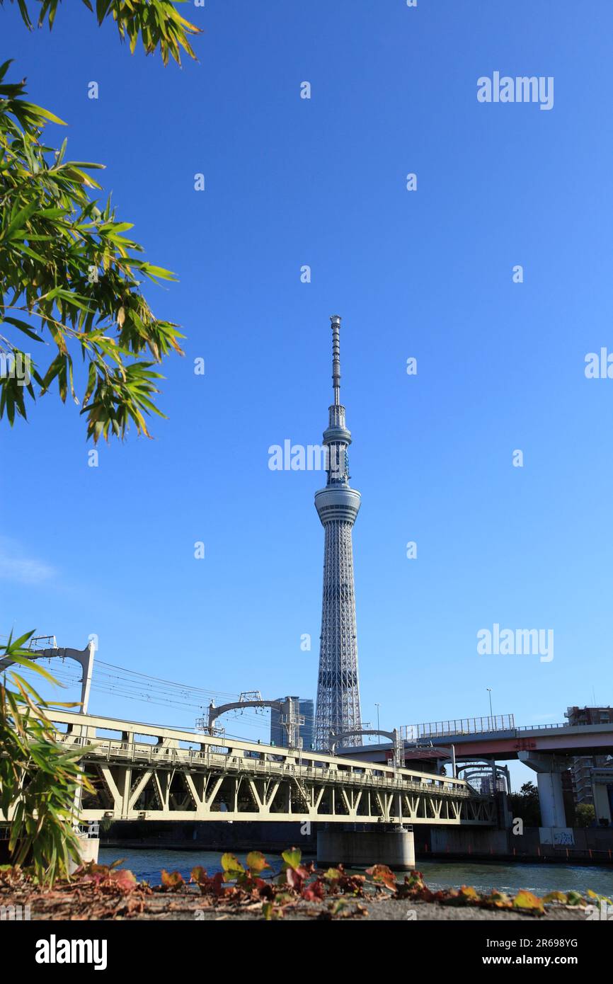 Tobu Isezaki Line and Tokyo Sky Tree Stock Photo - Alamy