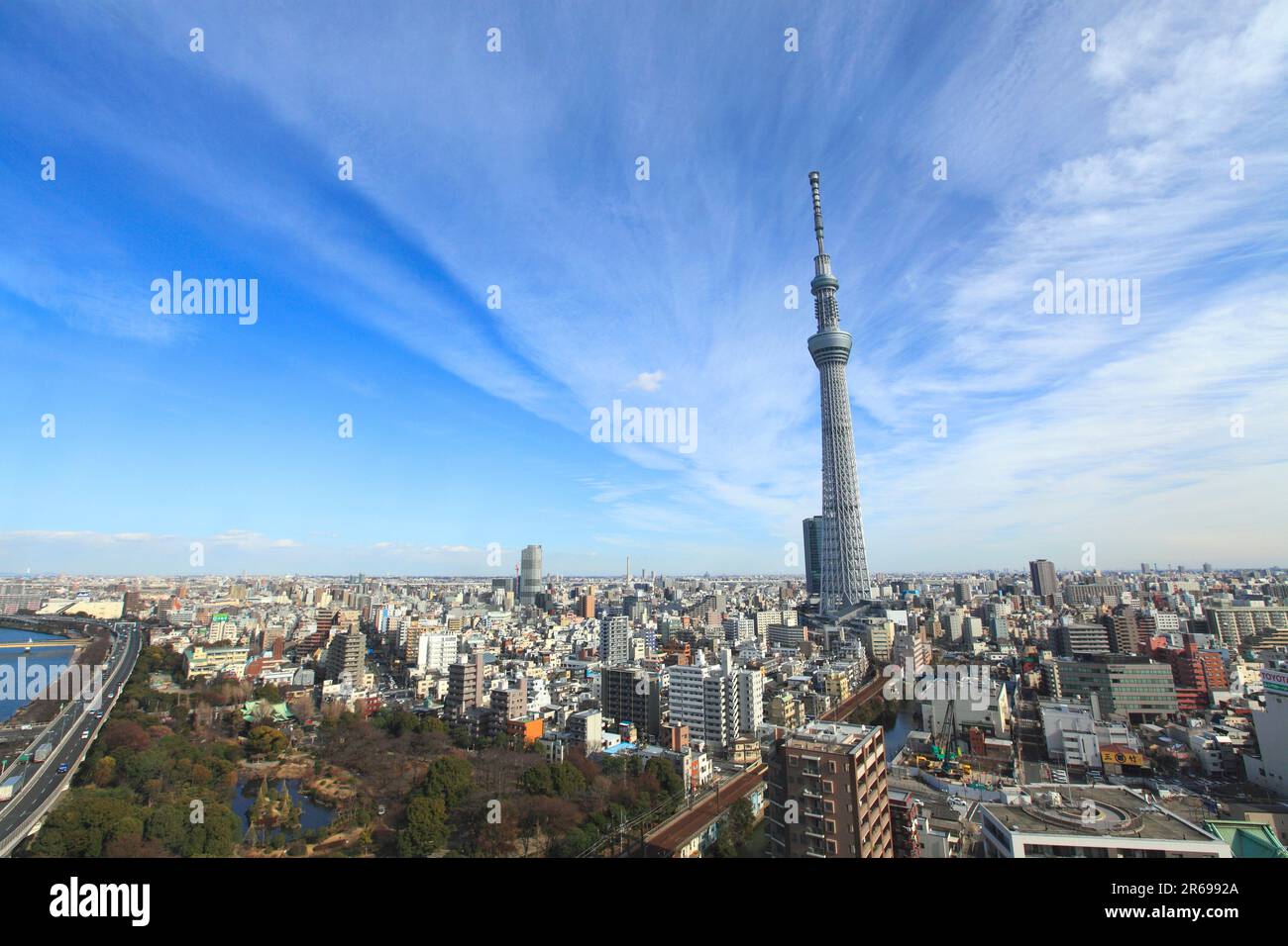 Sumida Park and Tokyo Sky Tree Stock Photo - Alamy