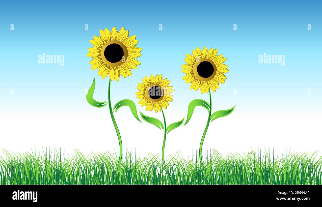 Land with sunflower Stock Vector Images - Alamy