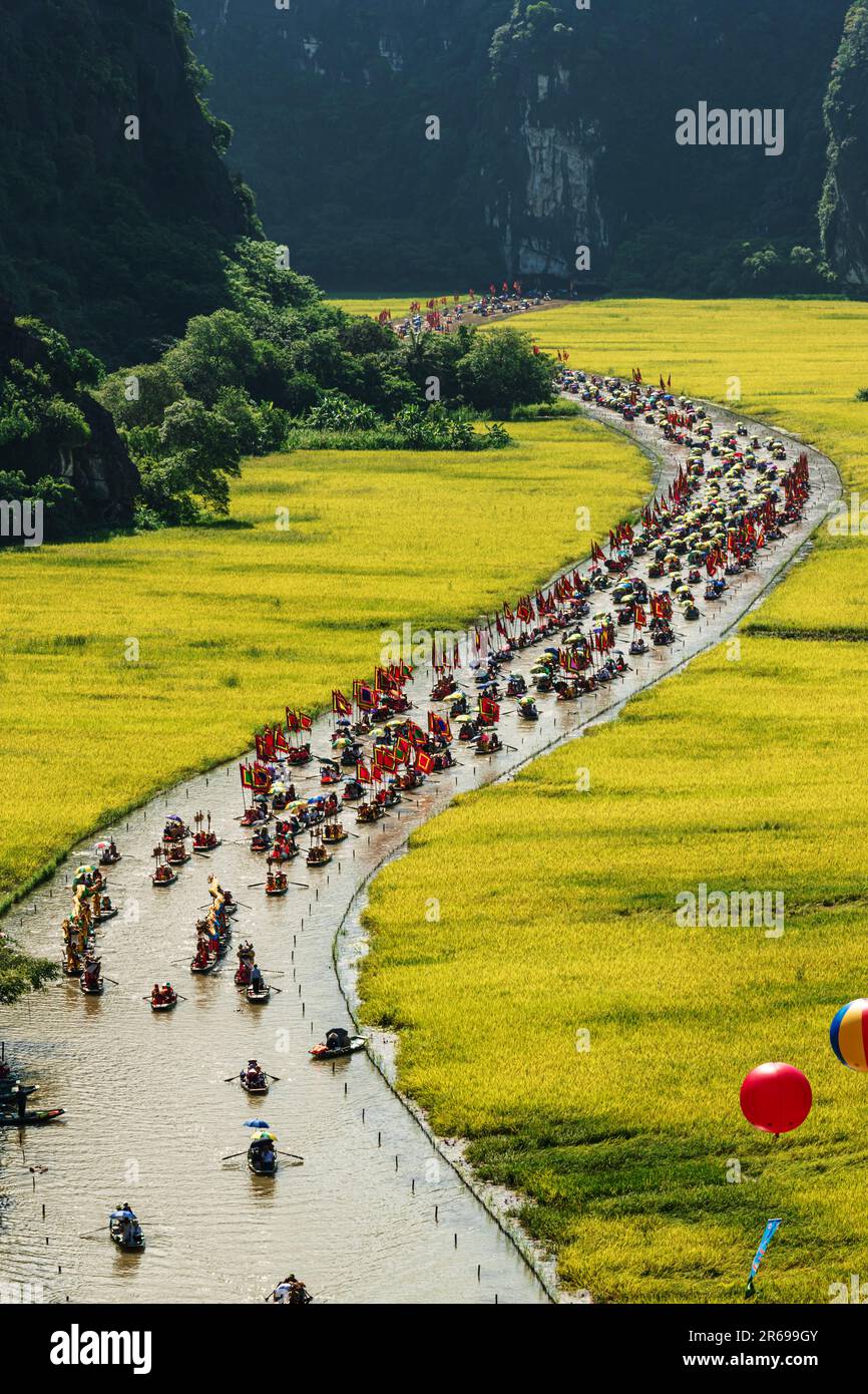 Golden rice fields in vietnam hi-res stock photography and images - Alamy