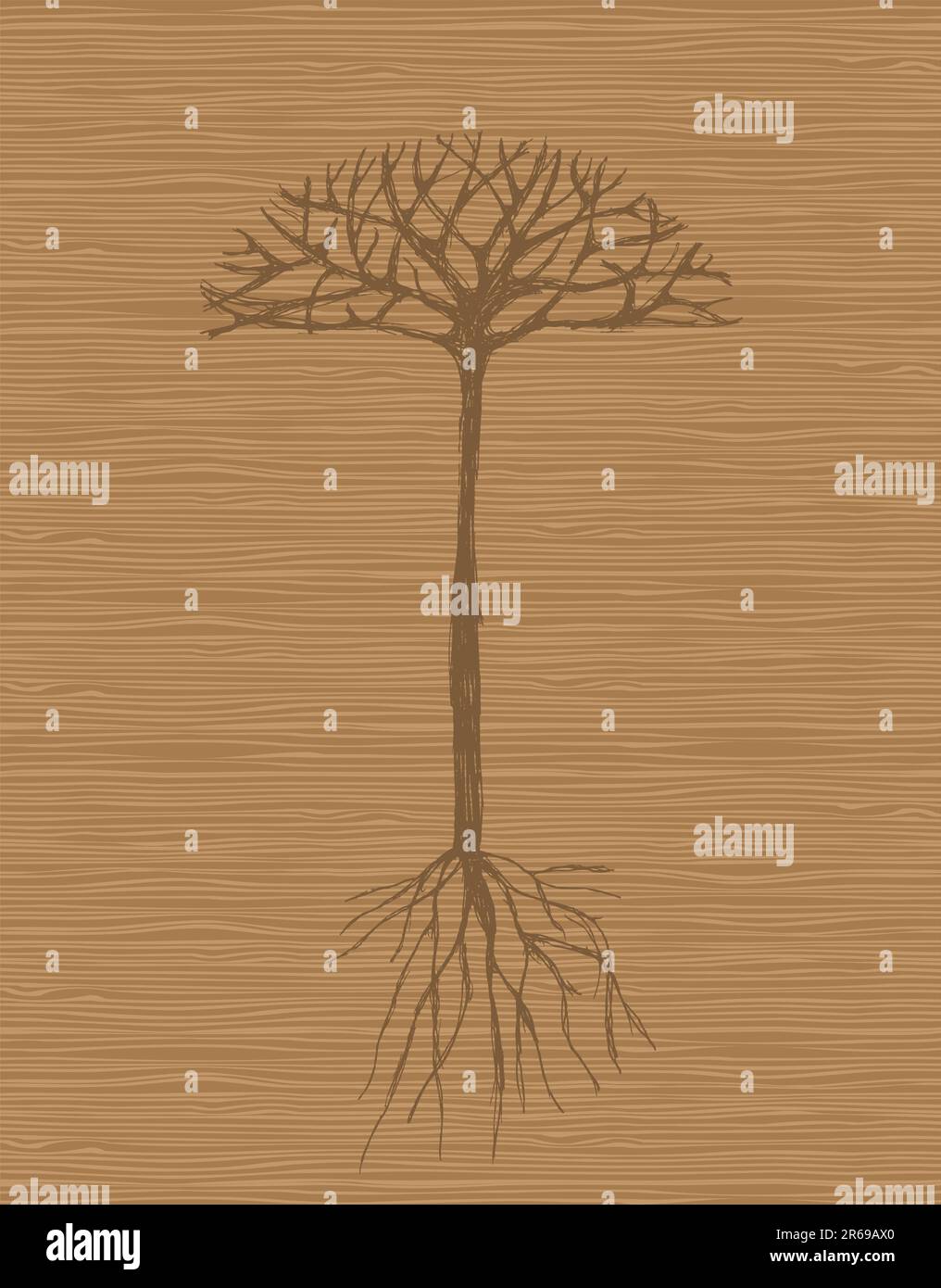 Vintage tree roots illustration Stock Vector Images - Alamy