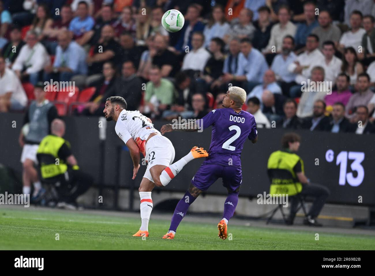 Ham dodo hi-res stock photography and images - Alamy