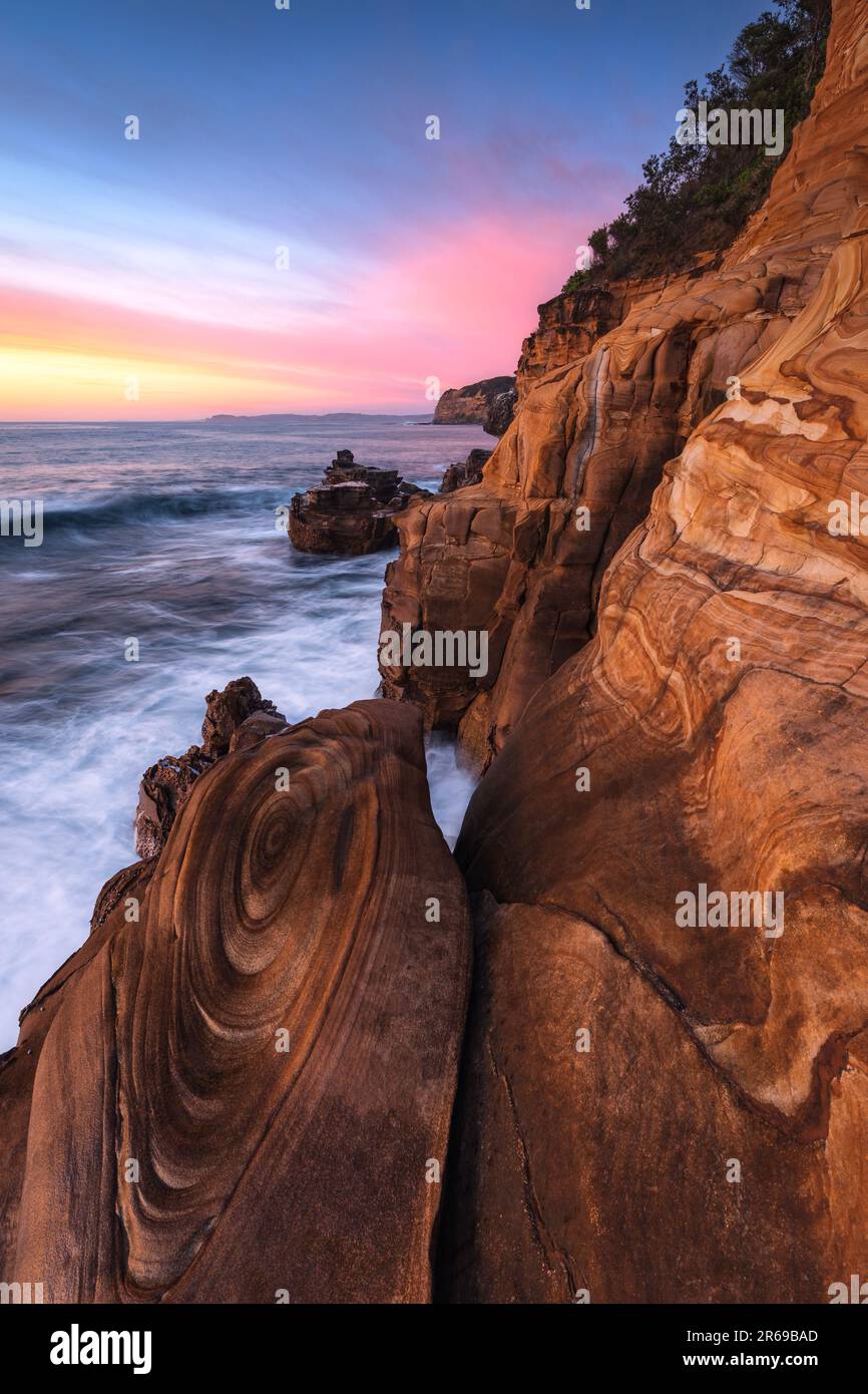 Bouddi national park tree hi-res stock photography and images - Alamy