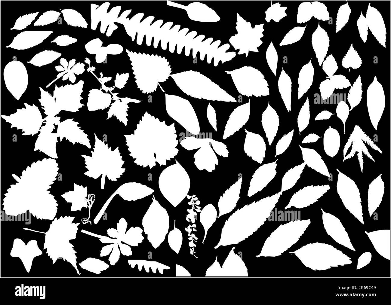 Big leaf plant Stock Vector Images - Alamy