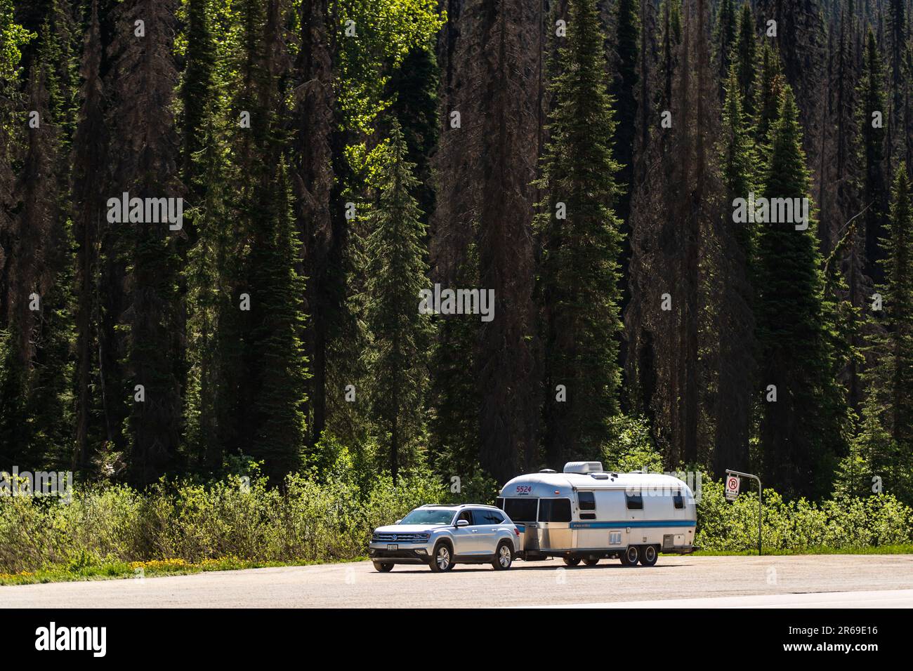 An Airstream travel trailer with tow vehicle pictured in front of large ...