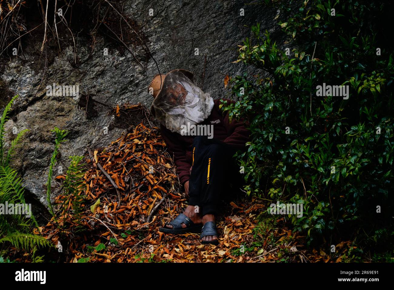 Nepal honey hunter hi-res stock photography and images - Alamy