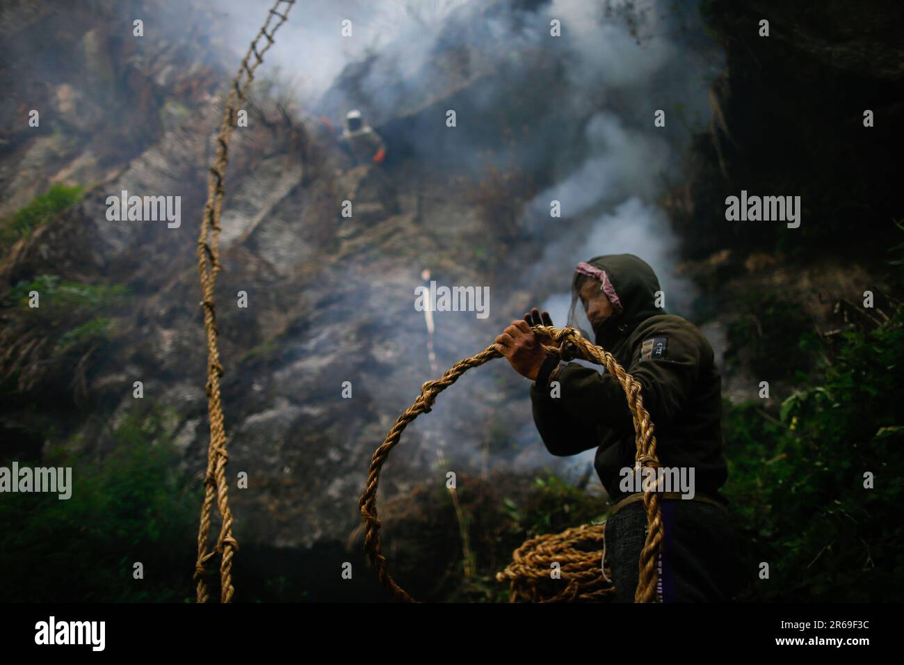 Nepal honey hunter hi-res stock photography and images - Alamy