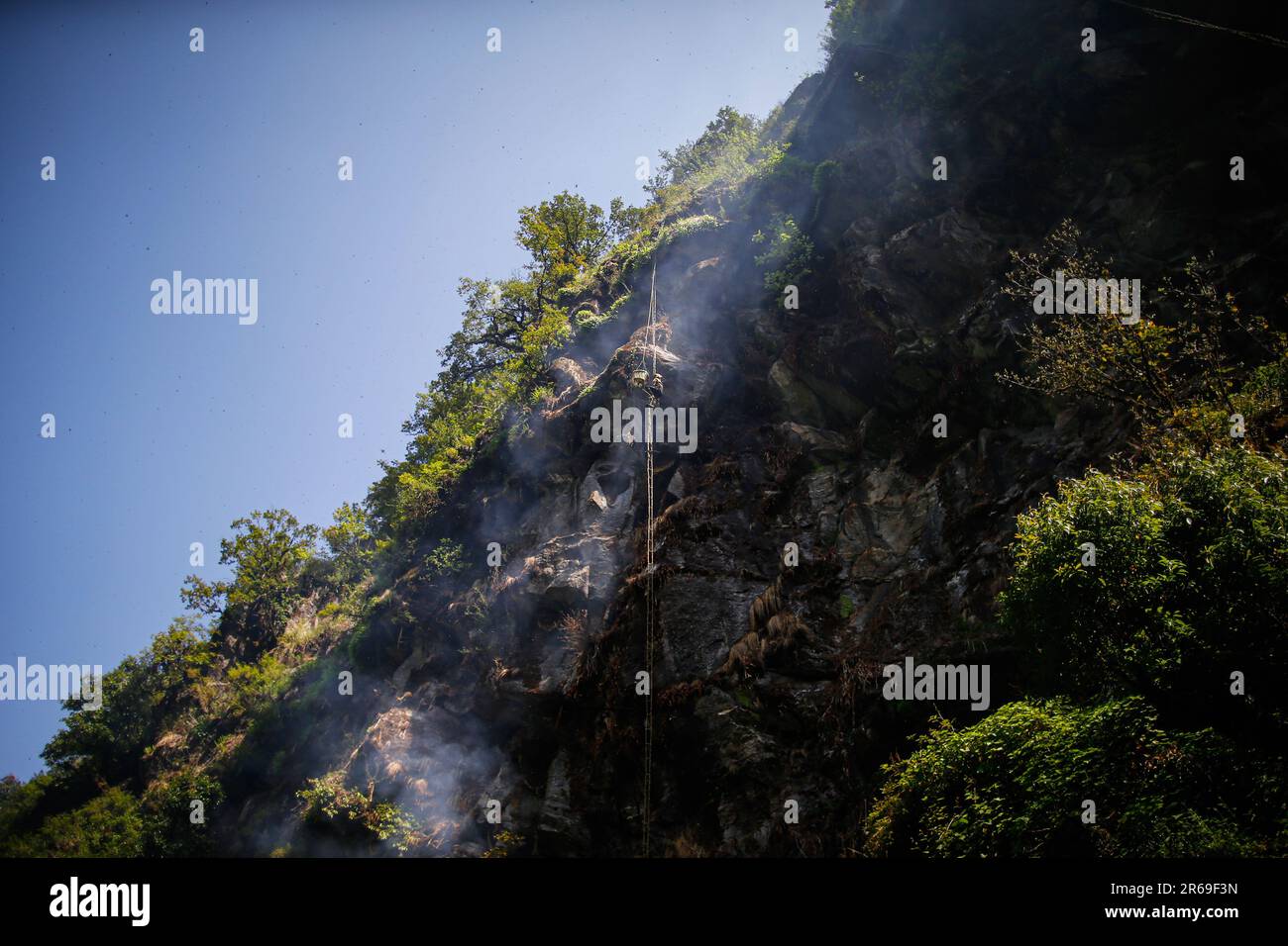Nepal honey hunter hi-res stock photography and images - Alamy
