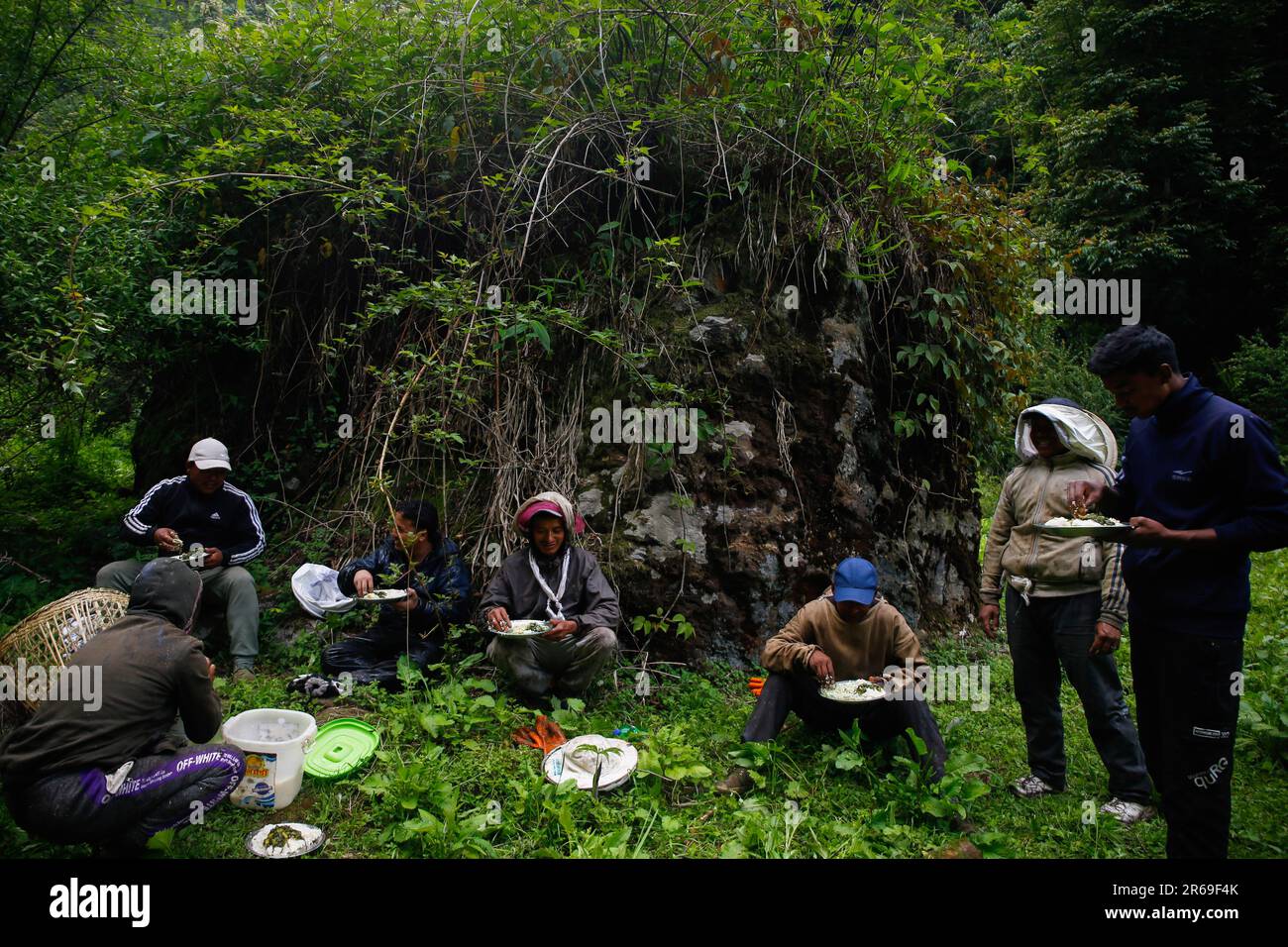 Nepal honey hunters hi-res stock photography and images - Alamy