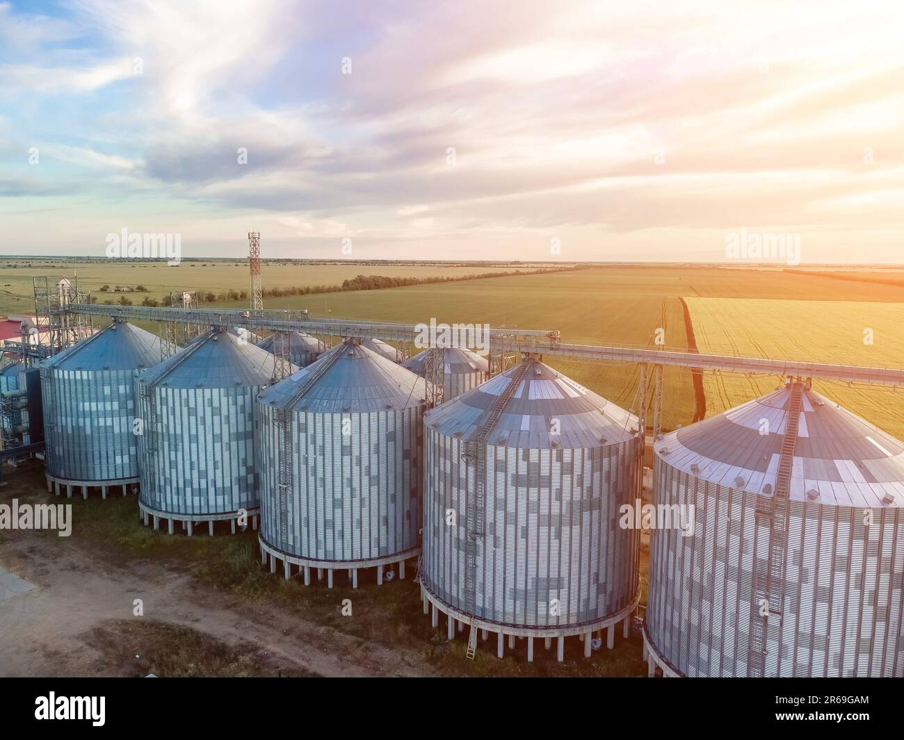 Grain silos on a green field background with warm sunset light. Grain ...