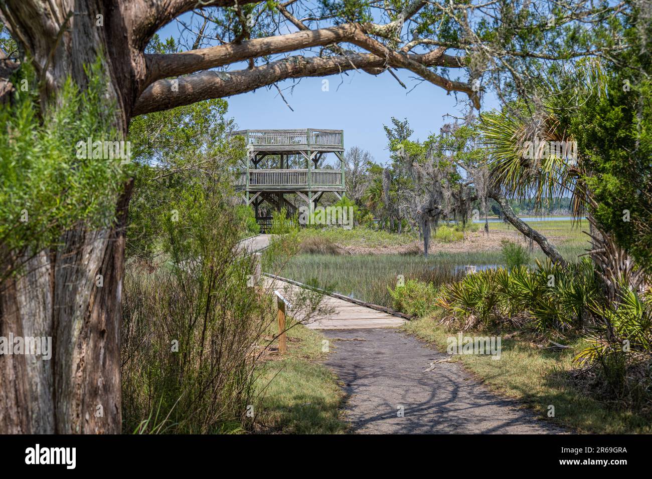 Skidaway island state park observation tower hi-res stock photography ...