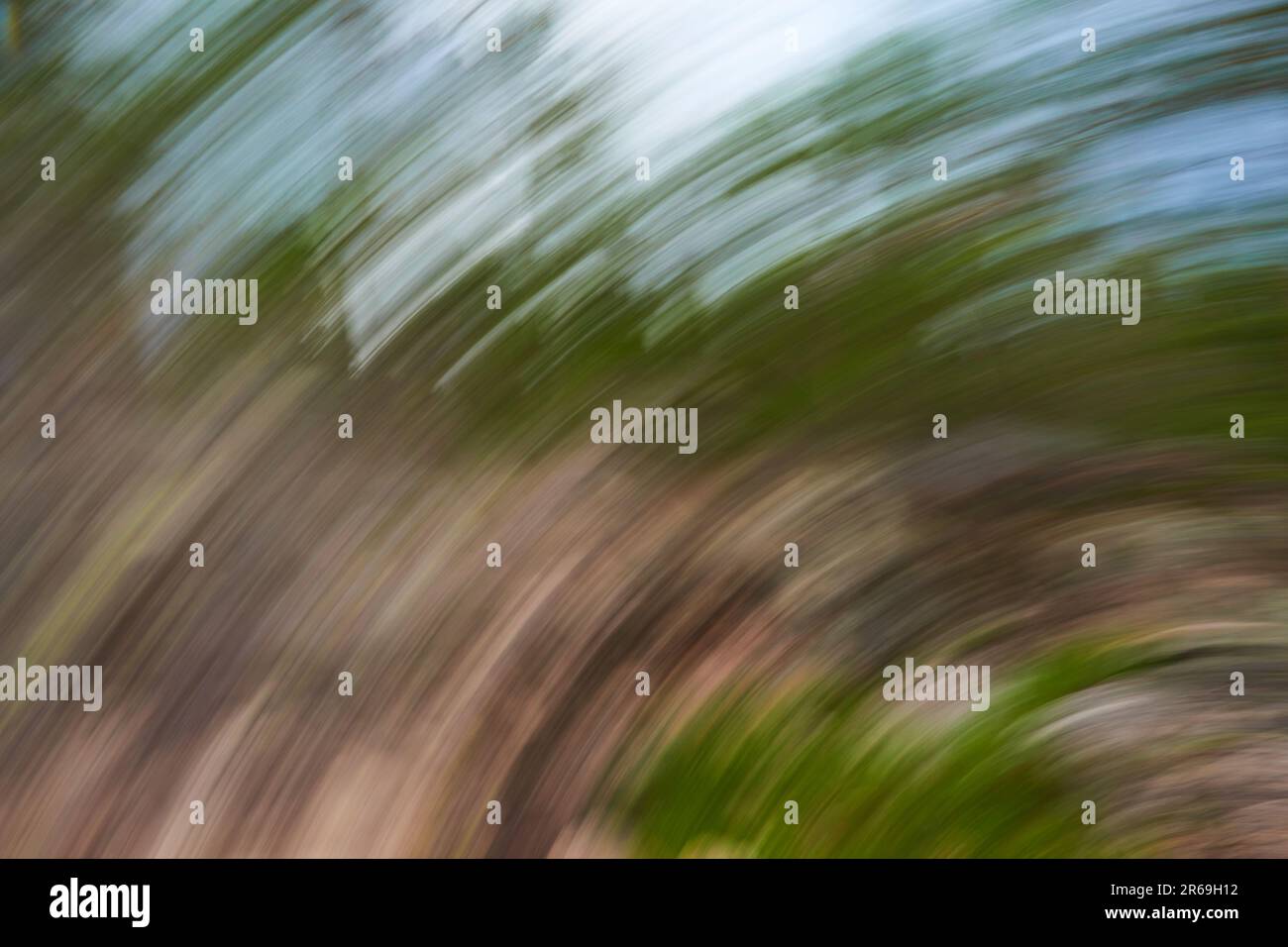 An abstract picture at low shutter speed of a forest in summer time ...