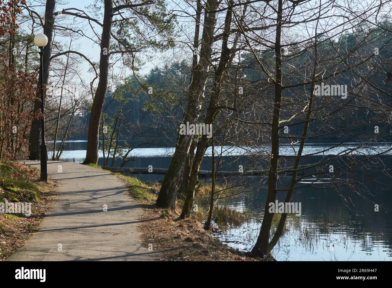 A walkway in a forest by a lake with shadows from the sun Stock Photo ...