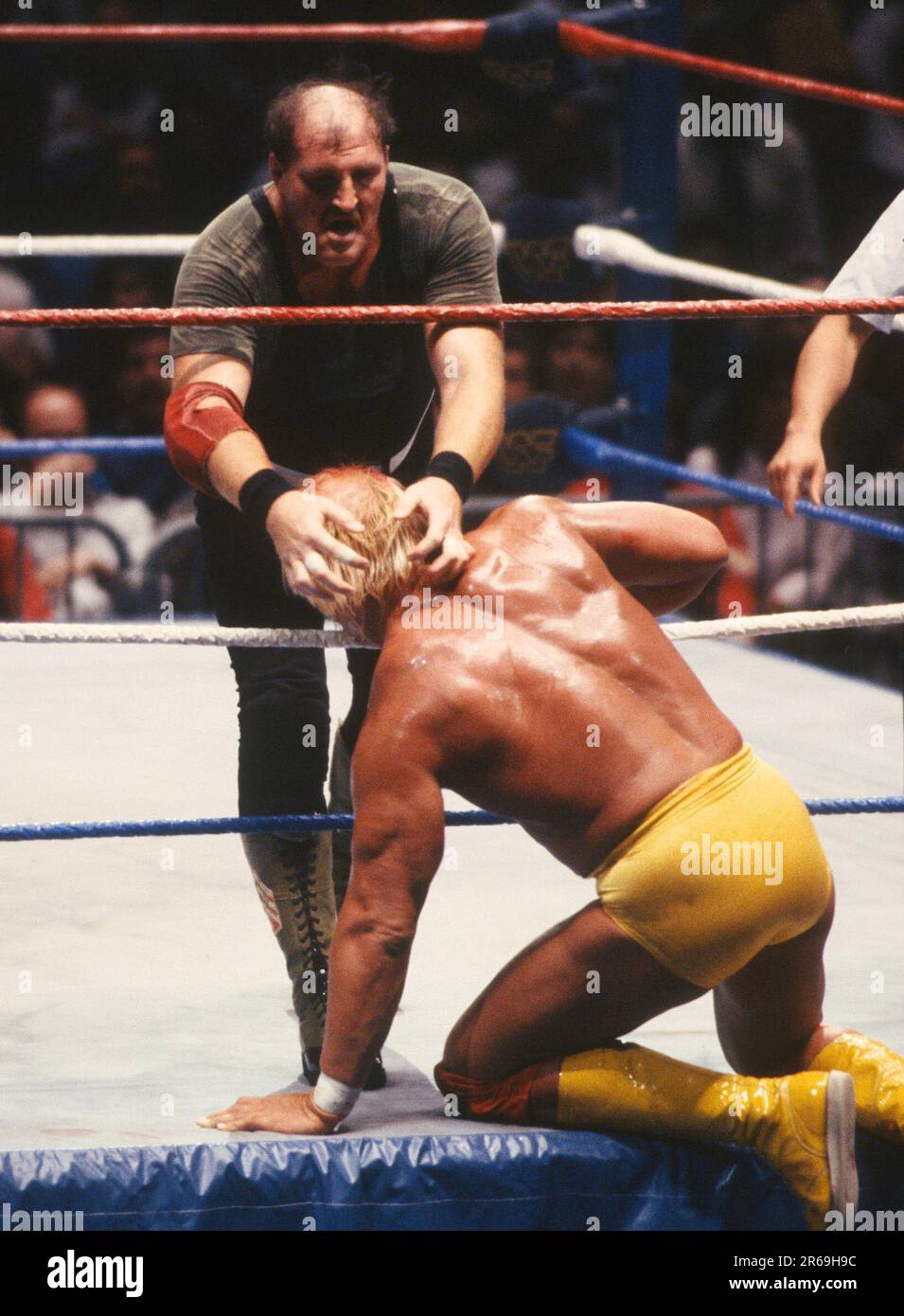 1990Hulk Hogan Sgt Slaughter John Barrett/PHOTOlink / MediaPunch Stock ...