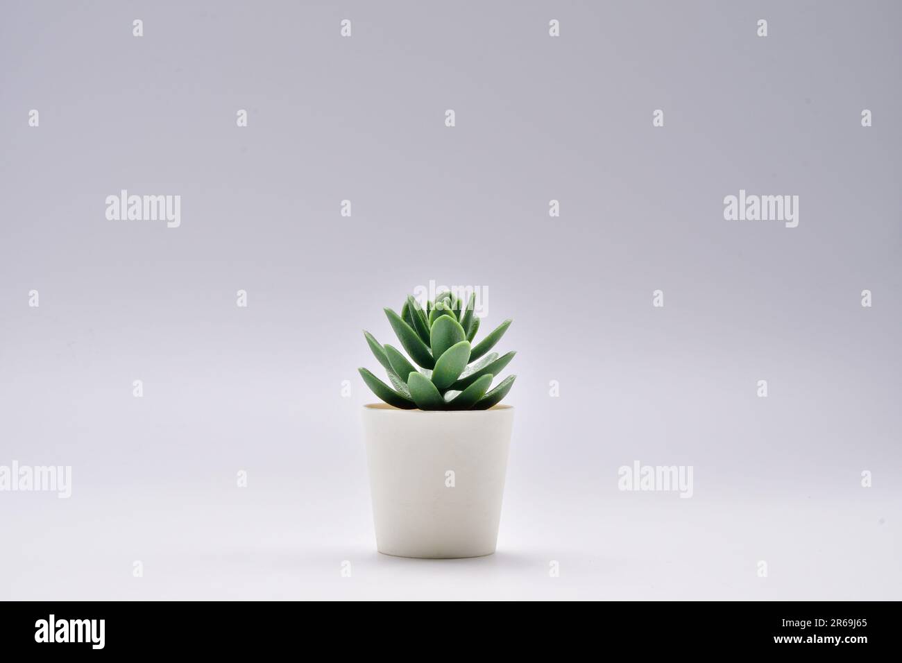 Cactus potted decoration home office.desk decoration tree.desk ...