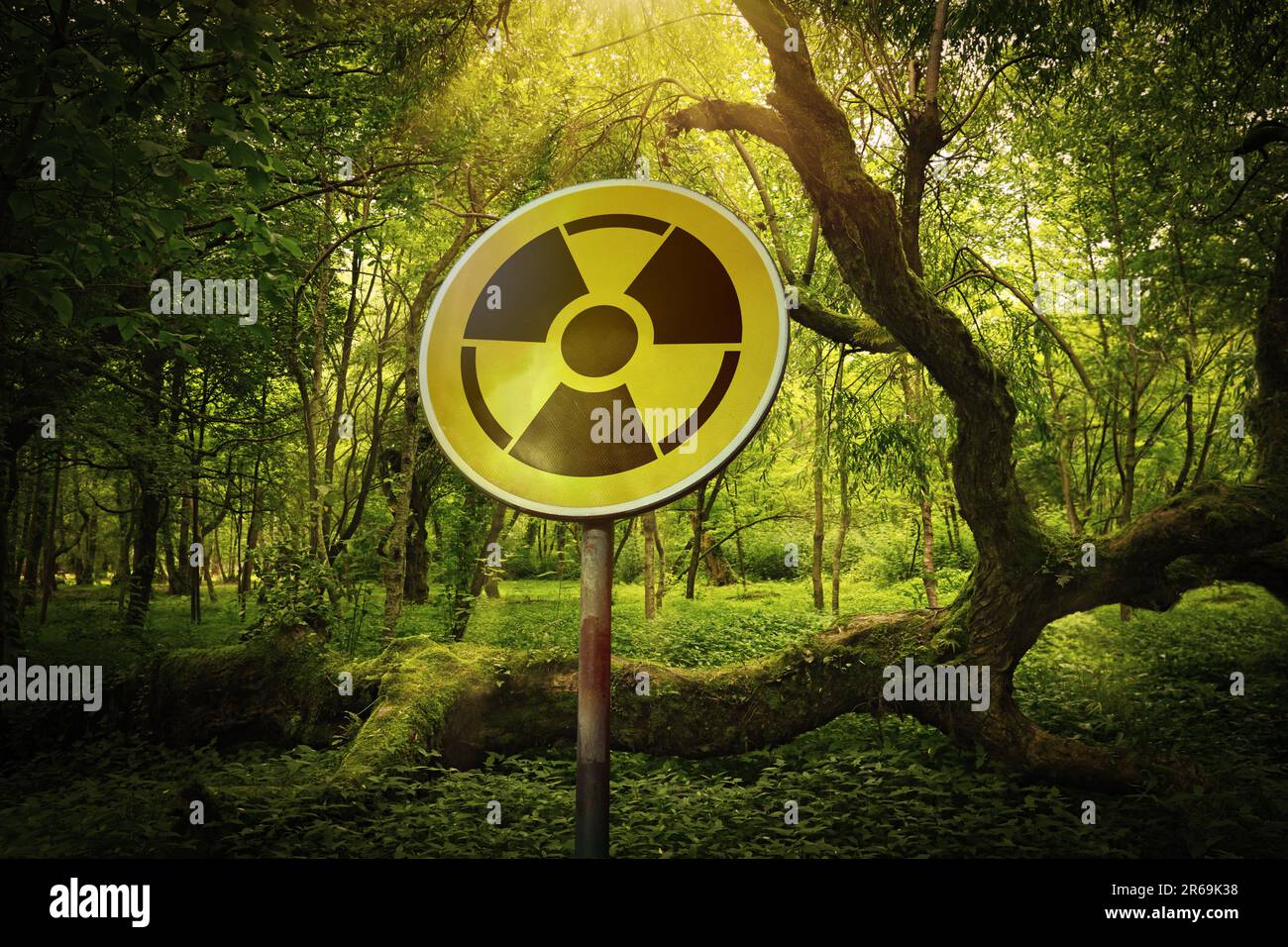 Radioactive pollution. Yellow warning sign with hazard symbol near ...