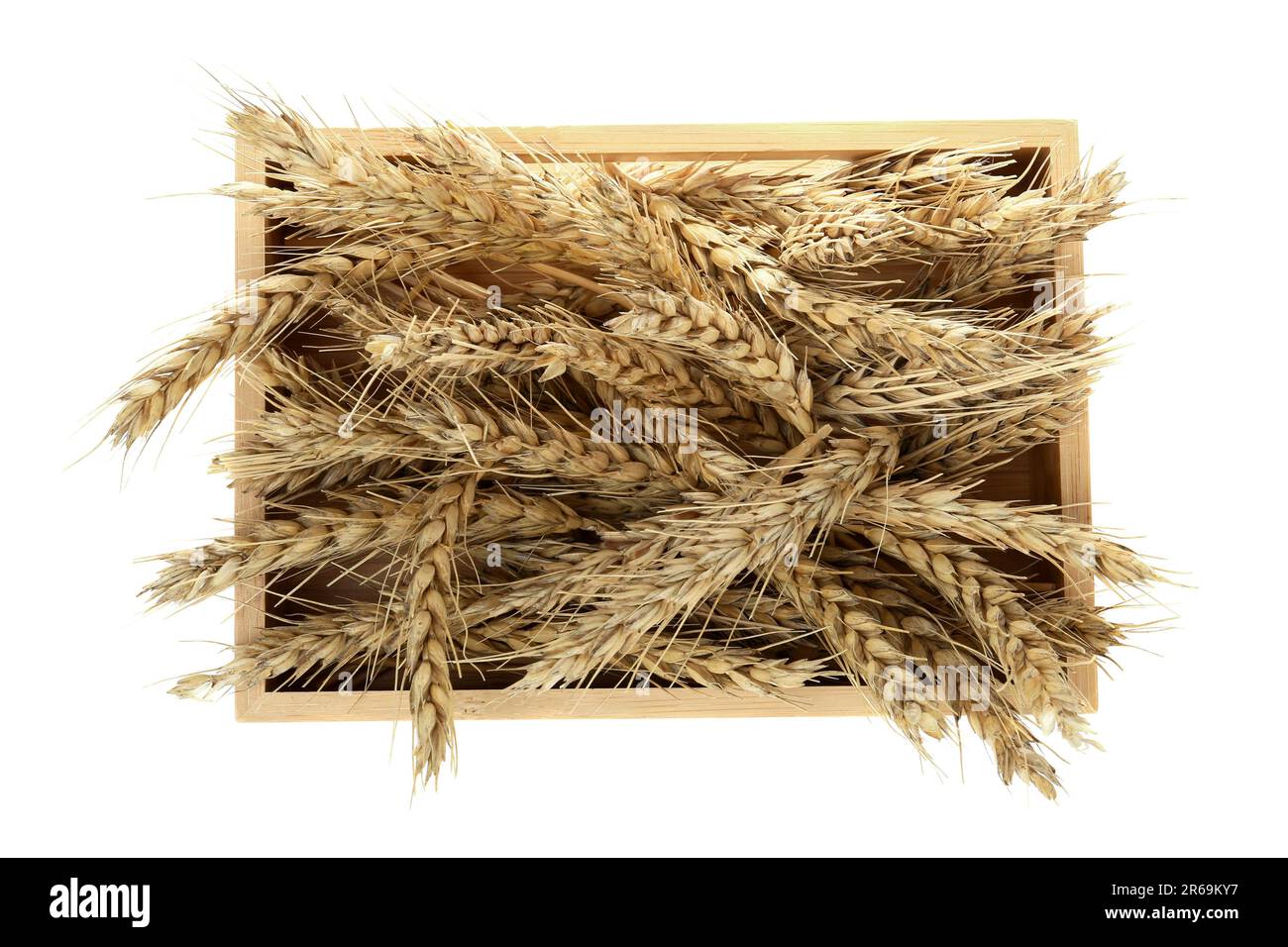 Wooden crate with ears of wheat on white background, top view Stock ...