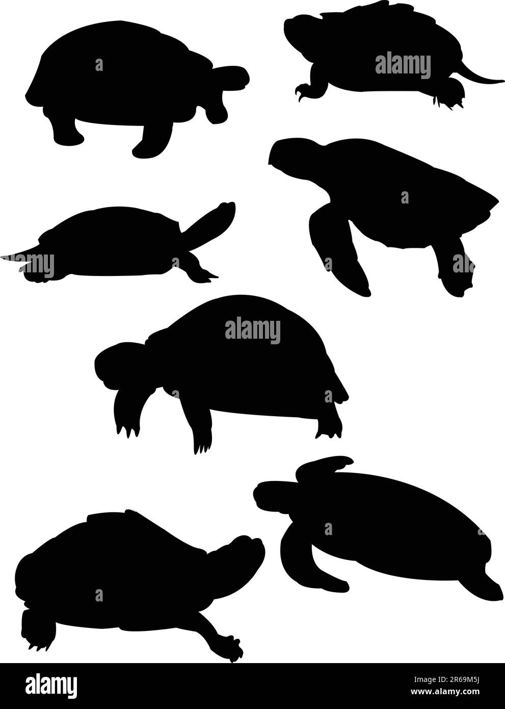 illustration of turtles silhouette - vector Stock Vector Image & Art - Alamy