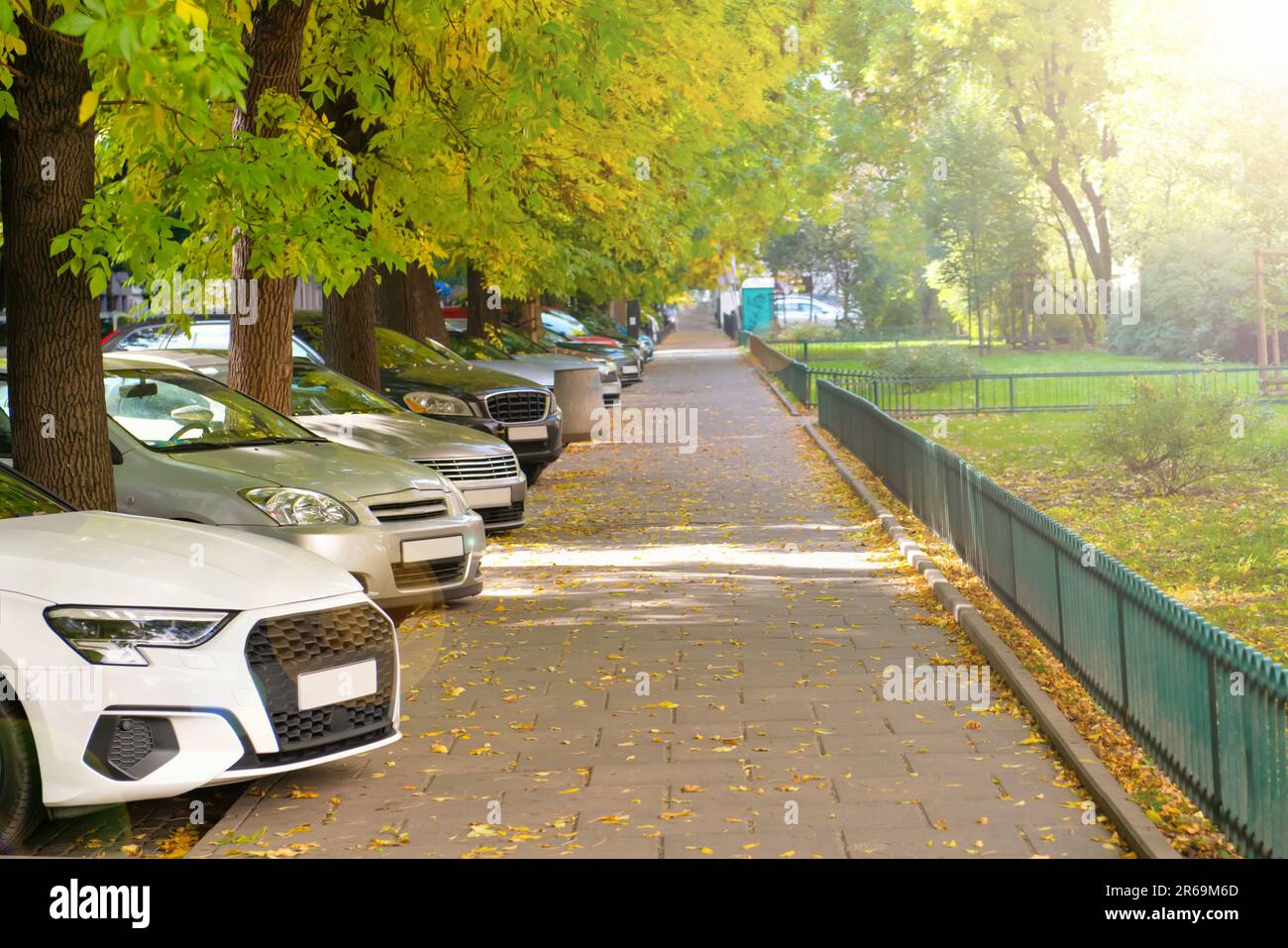 Pavement with tiles and grass outdoors. Sidewalk covering Stock Photo ...
