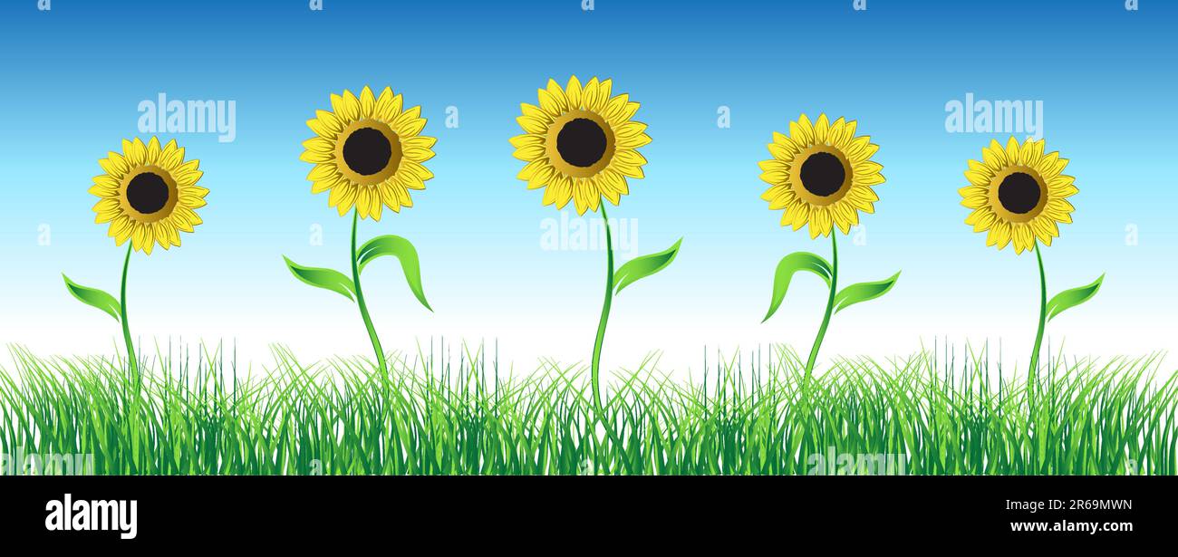 Green lawn lush bush Stock Vector Images - Alamy