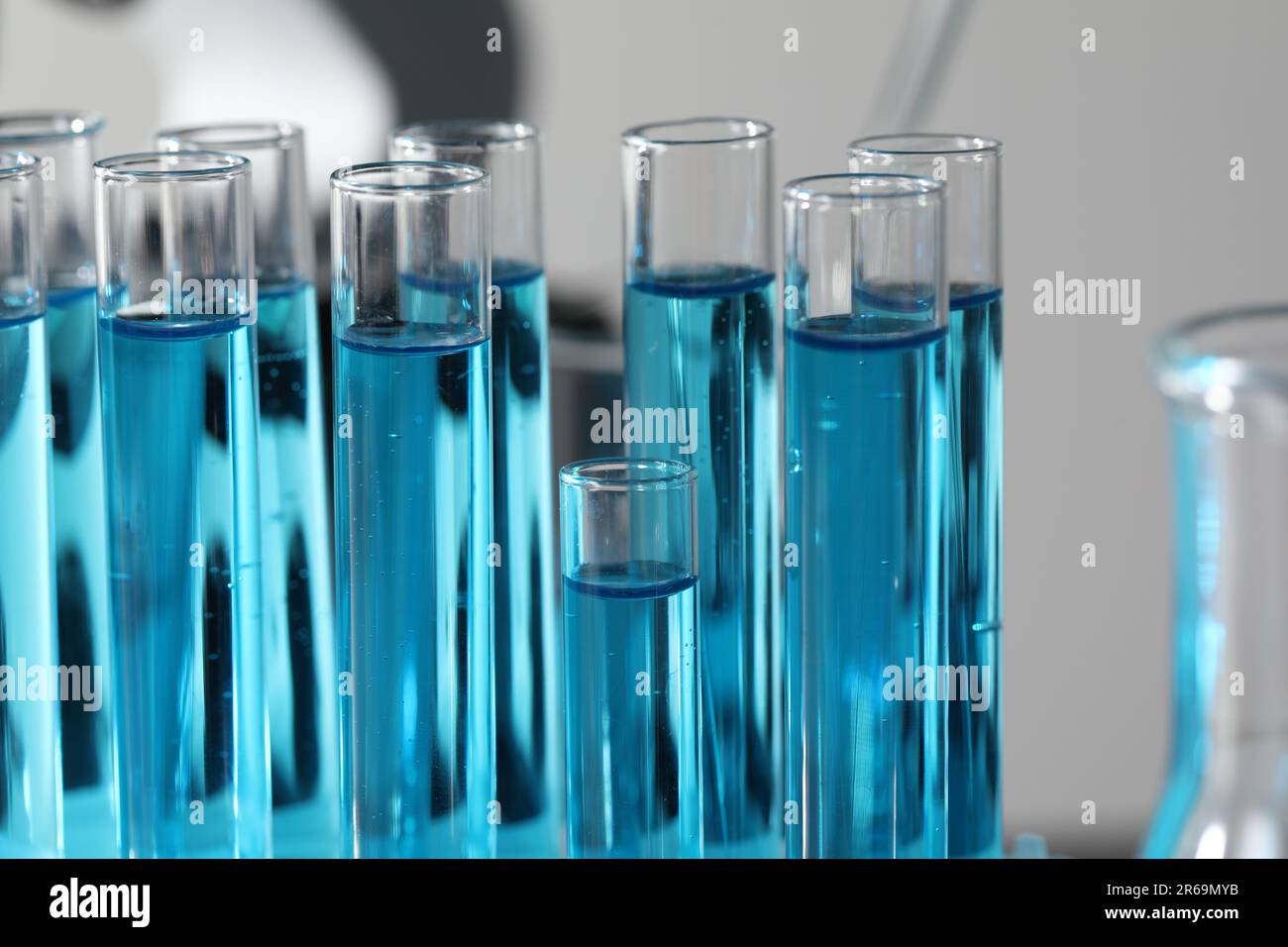Test tubes with light blue liquid in laboratory, closeup Stock Photo ...
