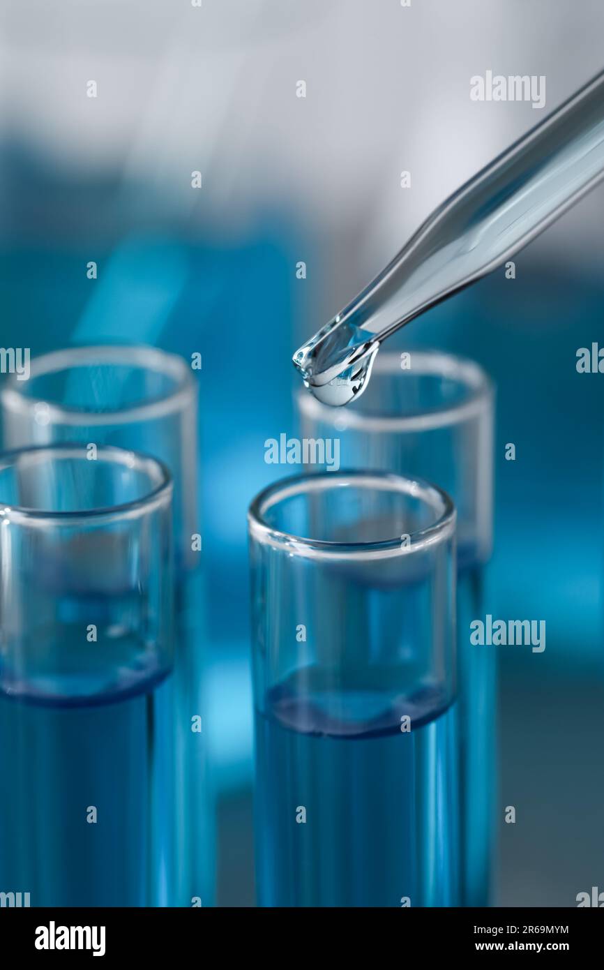 Dripping liquid from pipette into test tube in laboratory, closeup ...