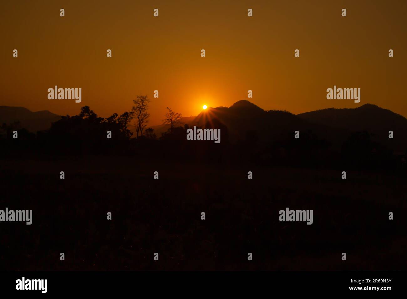 photos of sun, hill, tree, forest, sunset Stock Photo - Alamy