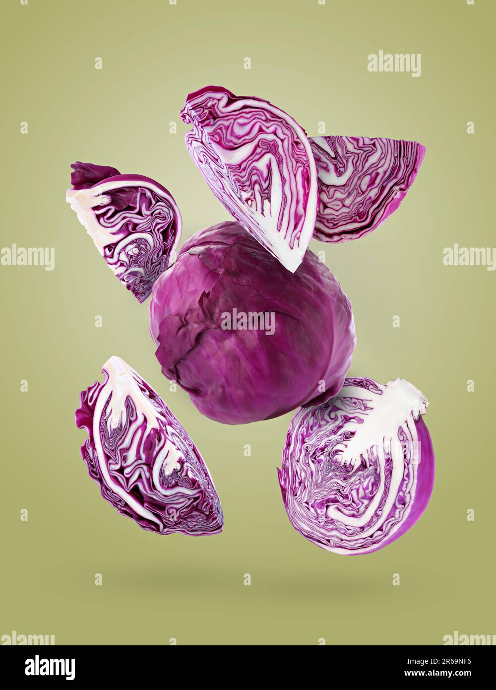 Fresh whole and cut red cabbages falling on olive color background ...