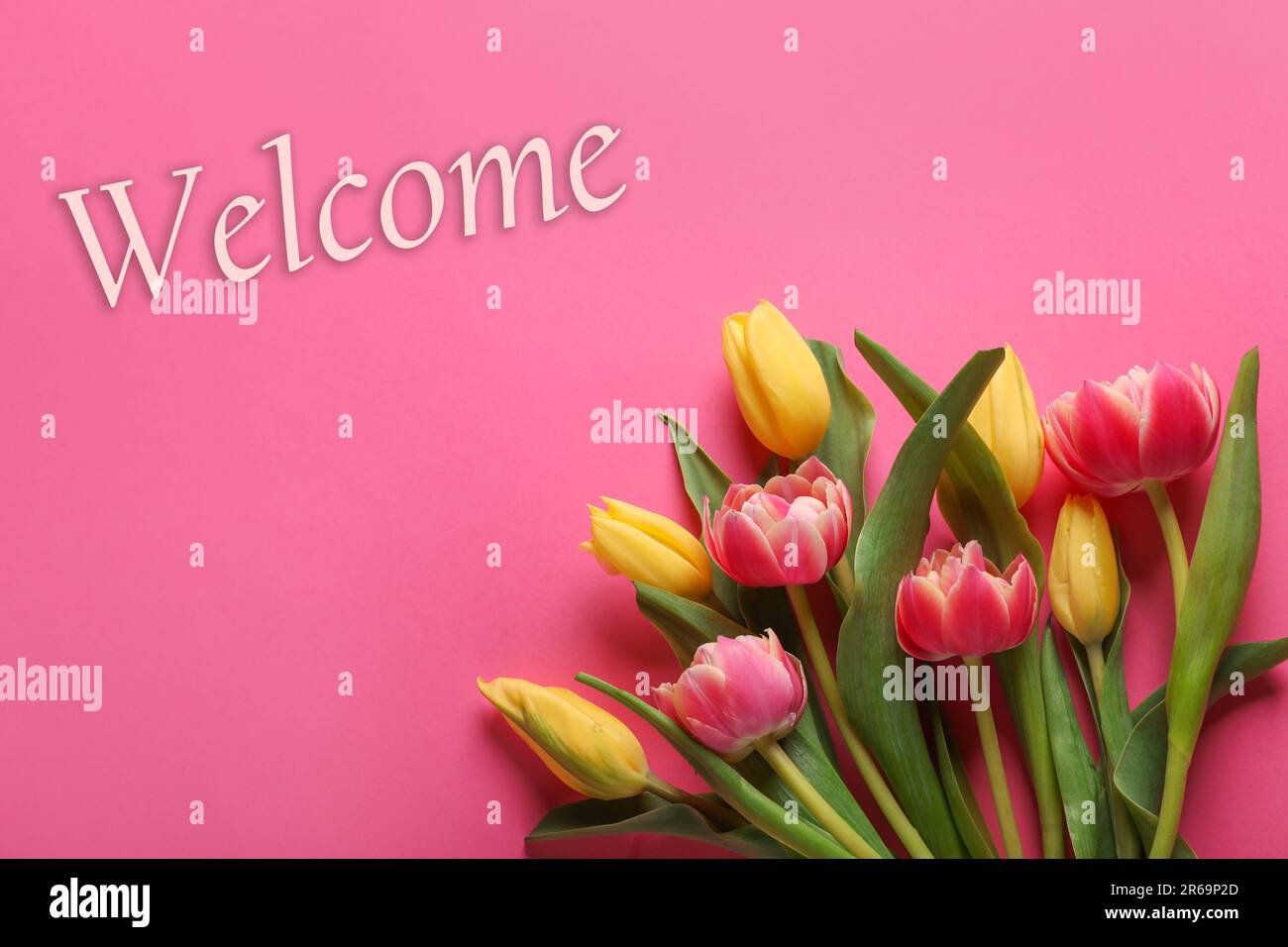 Welcome home card with flowers hi-res stock photography and images - Alamy