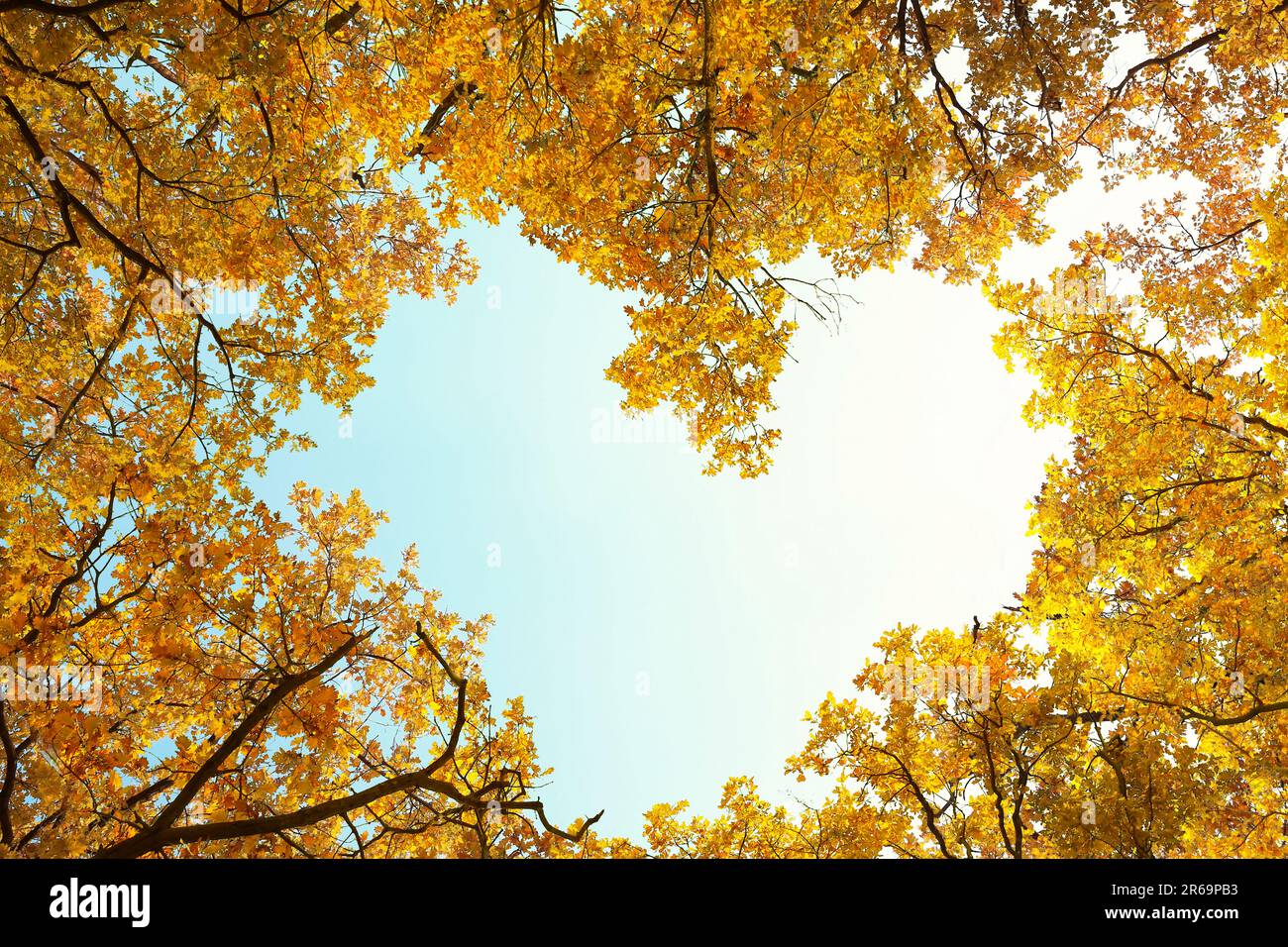 Sky visible through heart shaped gap formed of autumn trees crowns ...