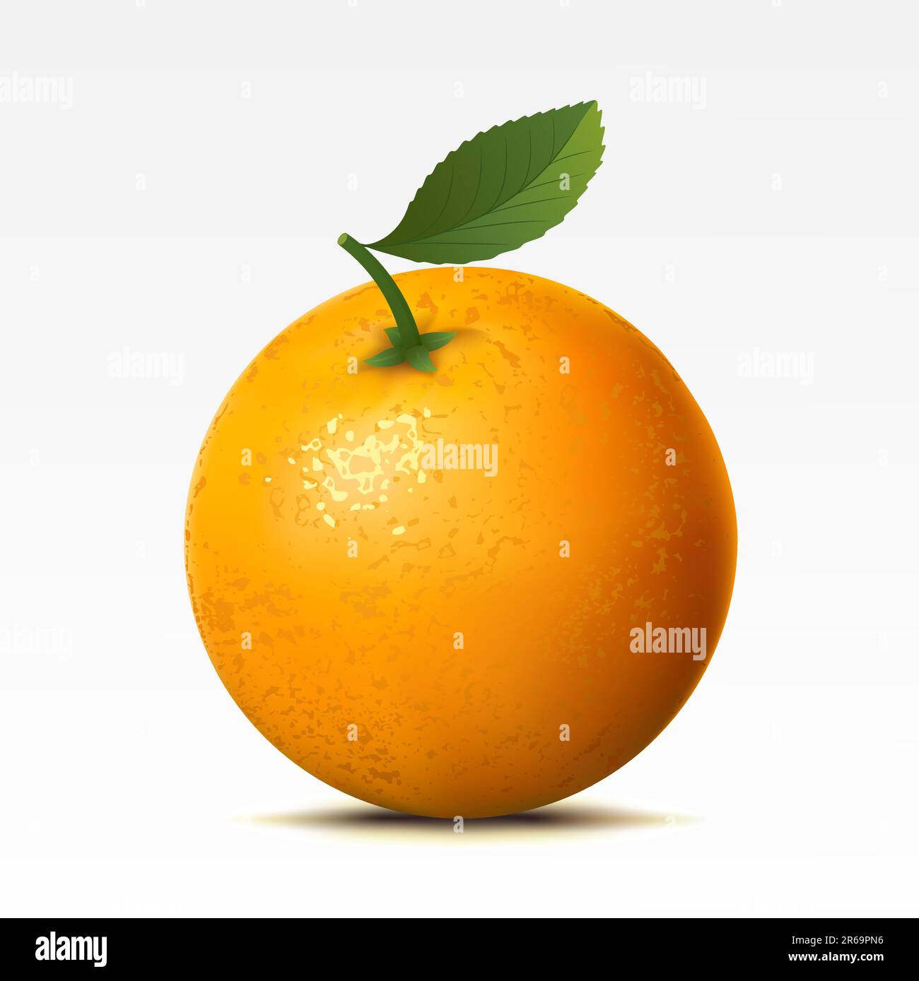 Ripe orange illustration on Stock Vector Images - Alamy