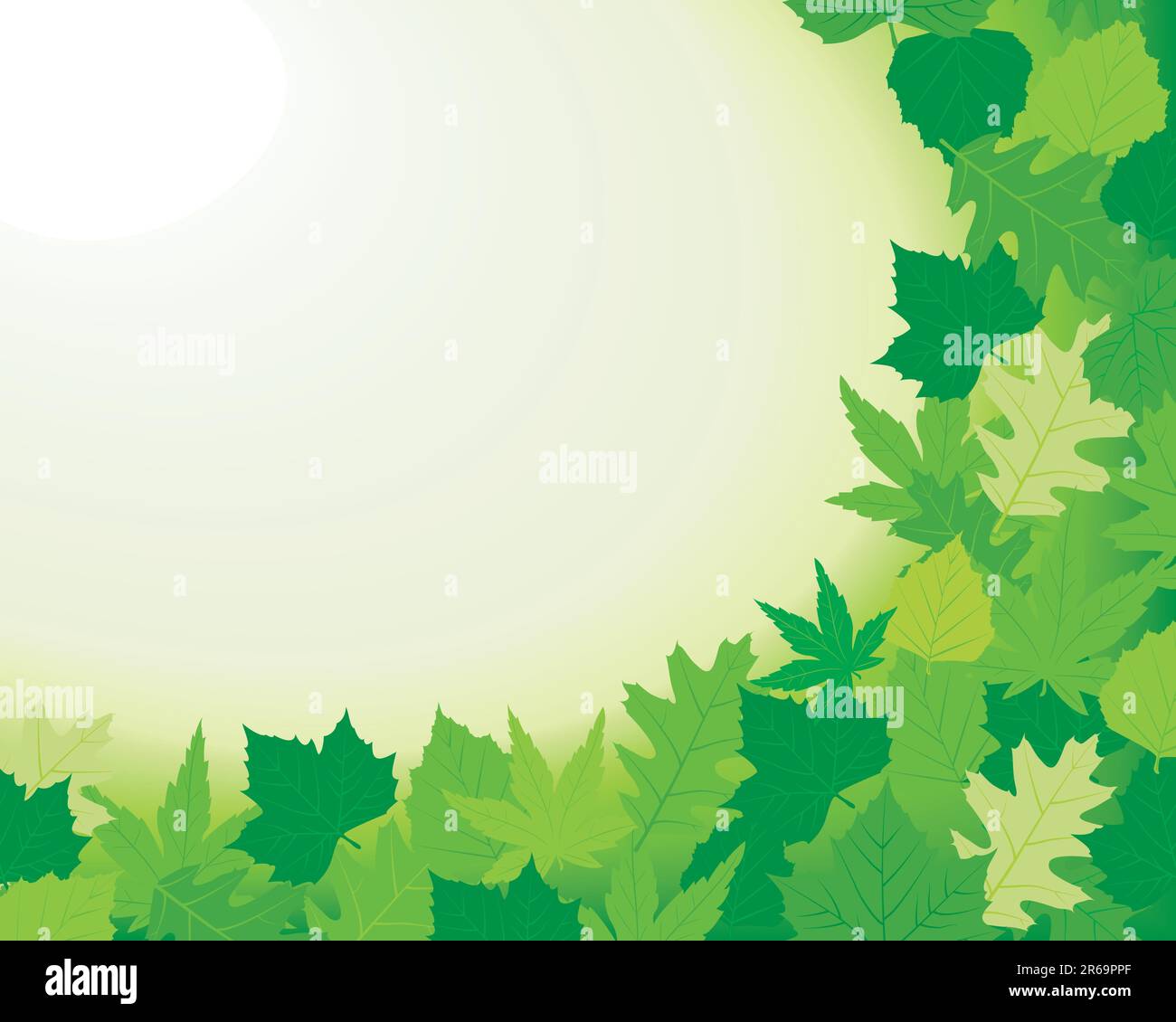 Horizontal spring background with beech, maple, oak and chestnut leaves ...