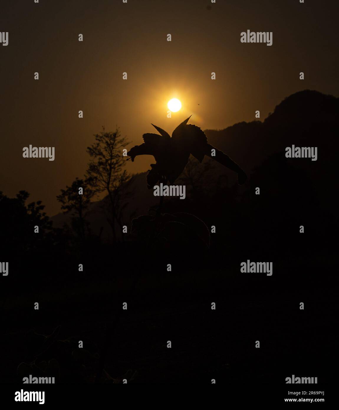 Render sun hi-res stock photography and images - Alamy