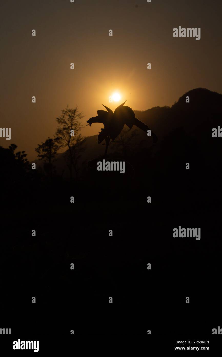 photos of sun, hill, sunset Stock Photo - Alamy