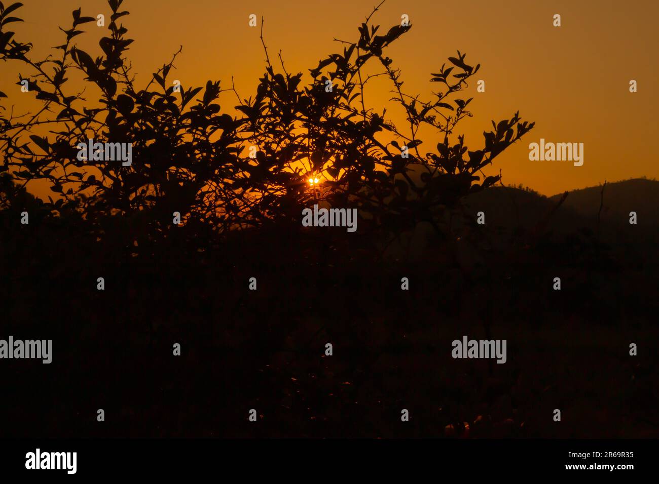 photo of sun, hill, forest, trees Stock Photo - Alamy