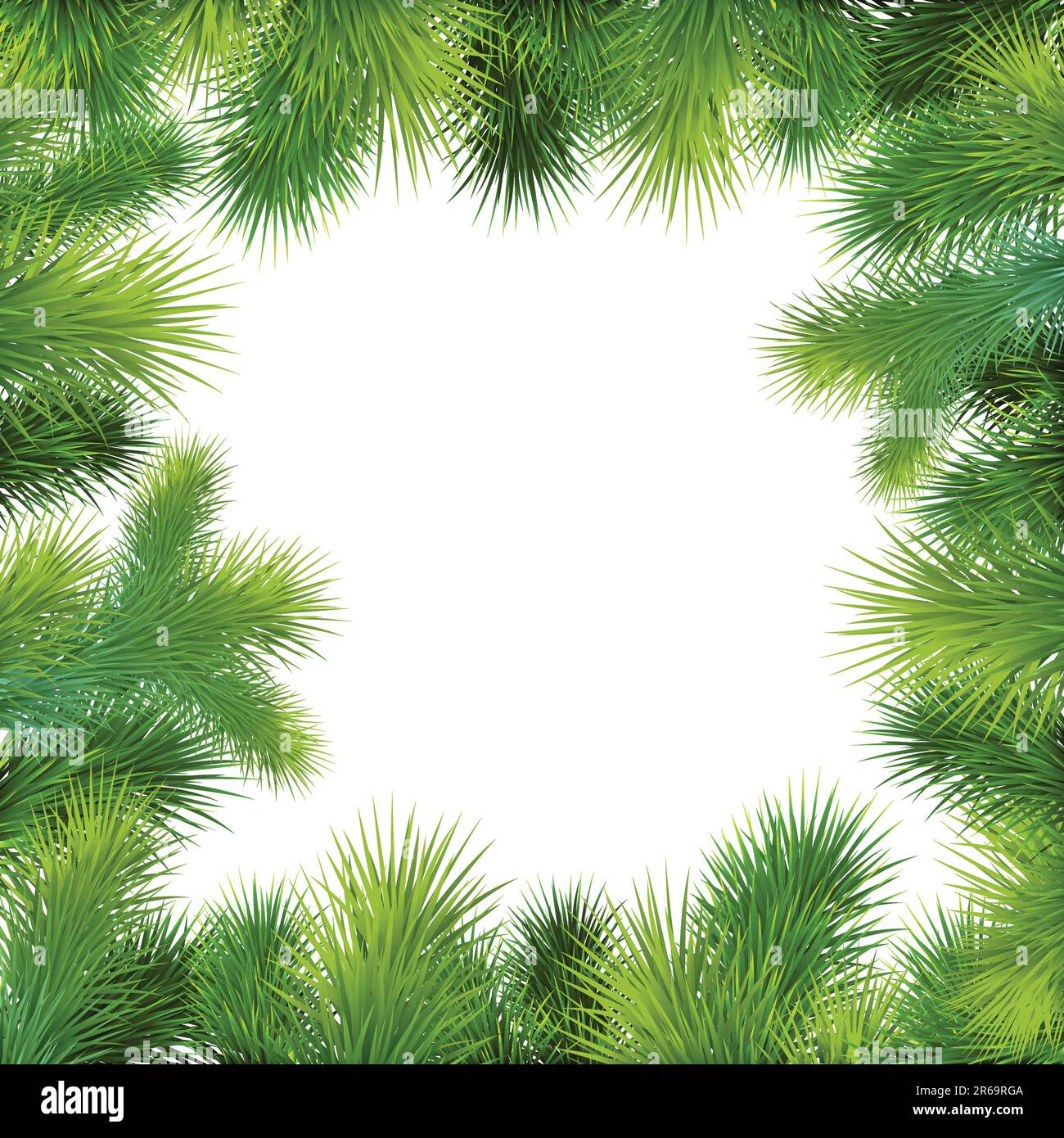 Furry spruce branch Stock Vector Images - Alamy
