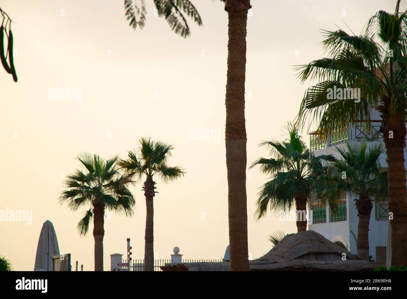 Weather in egypt hi-res stock photography and images - Alamy