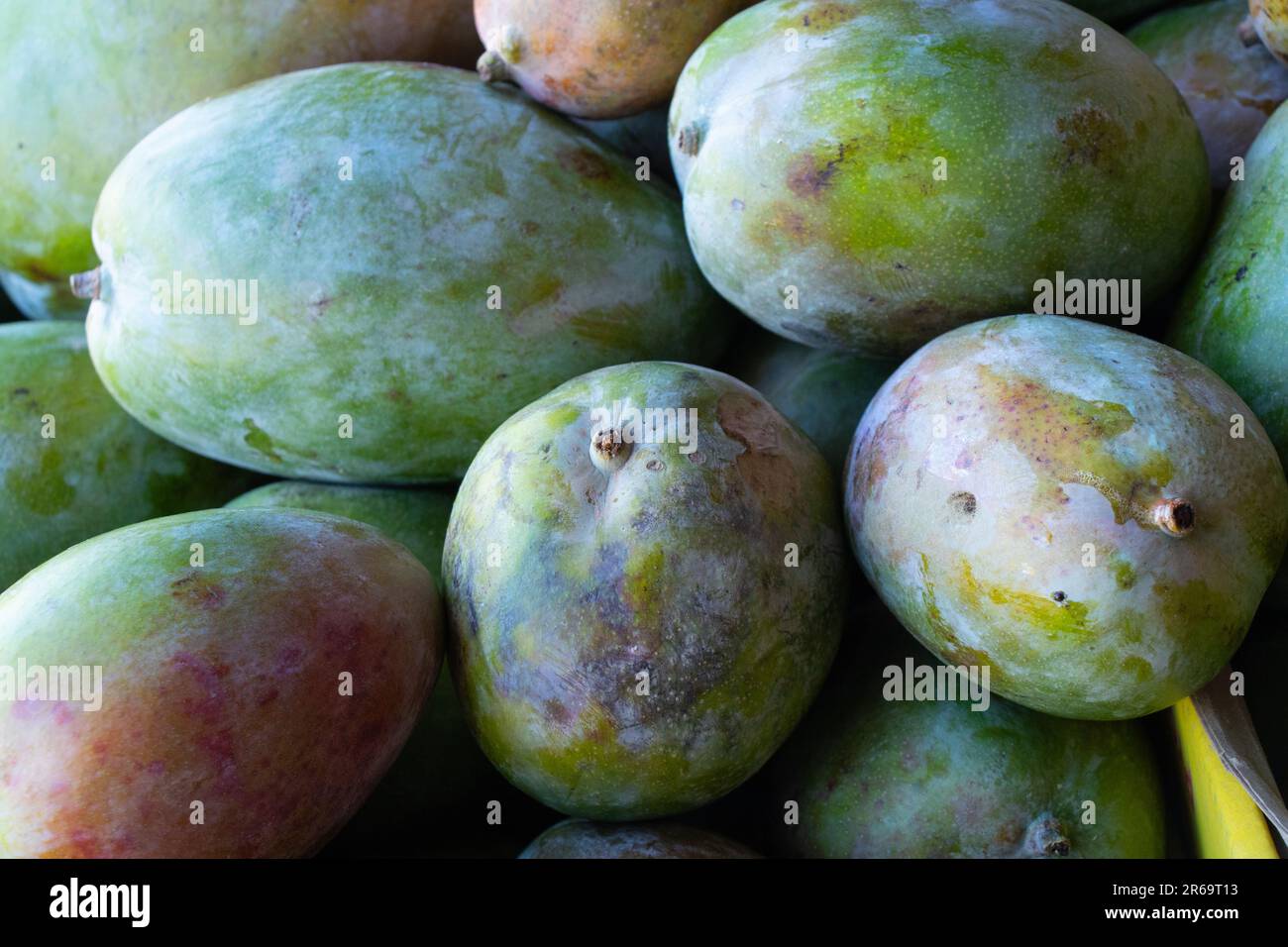 mangoes in a bazaar in Egypt close-up on a store counter Stock Photo ...